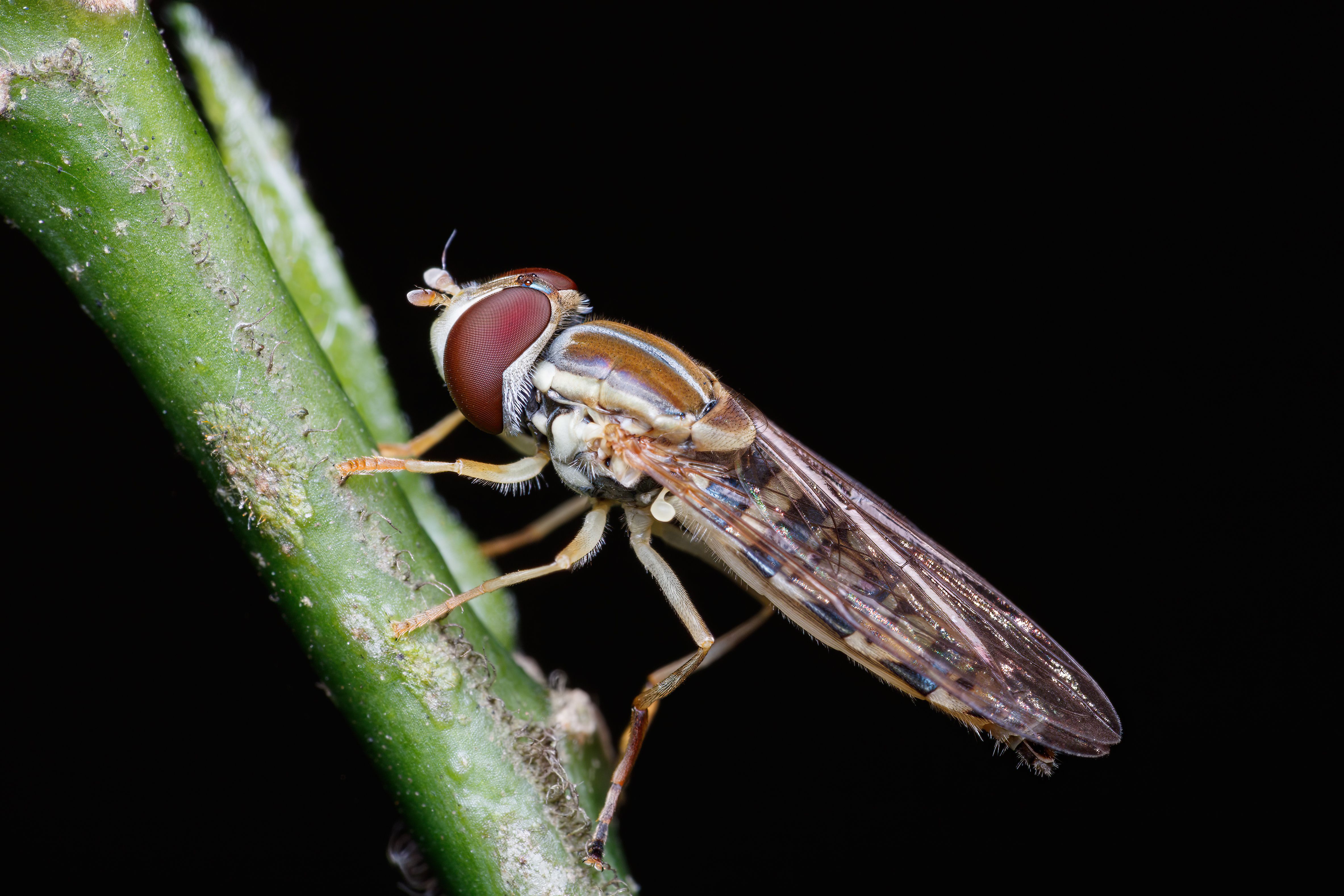 Pictures+Of+Matter+In+Science Photos, Download The BEST Free Pictures ...