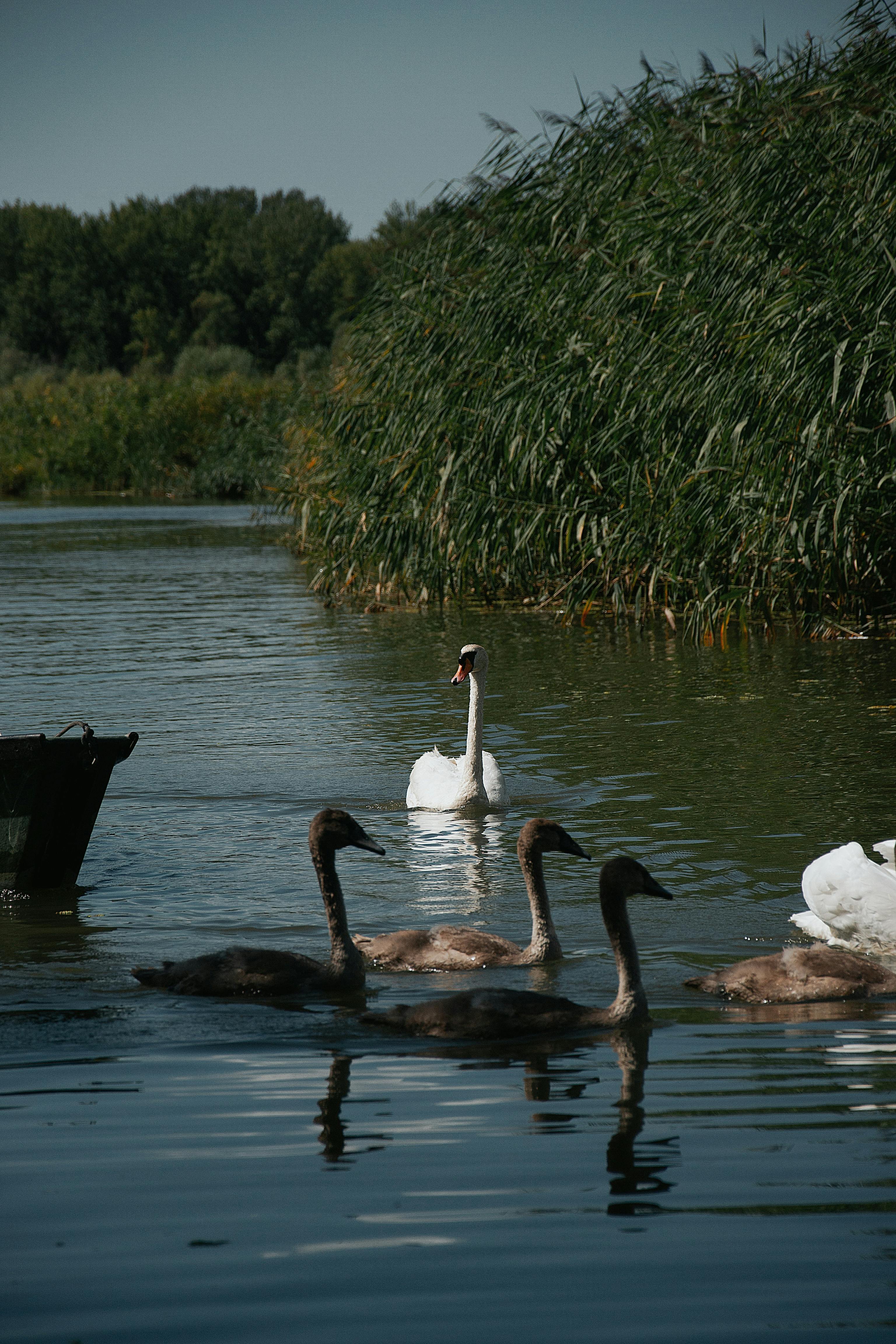 4k Wallpaper Jax Pena Photos, Download The BEST Free 4k Wallpaper Jax ...