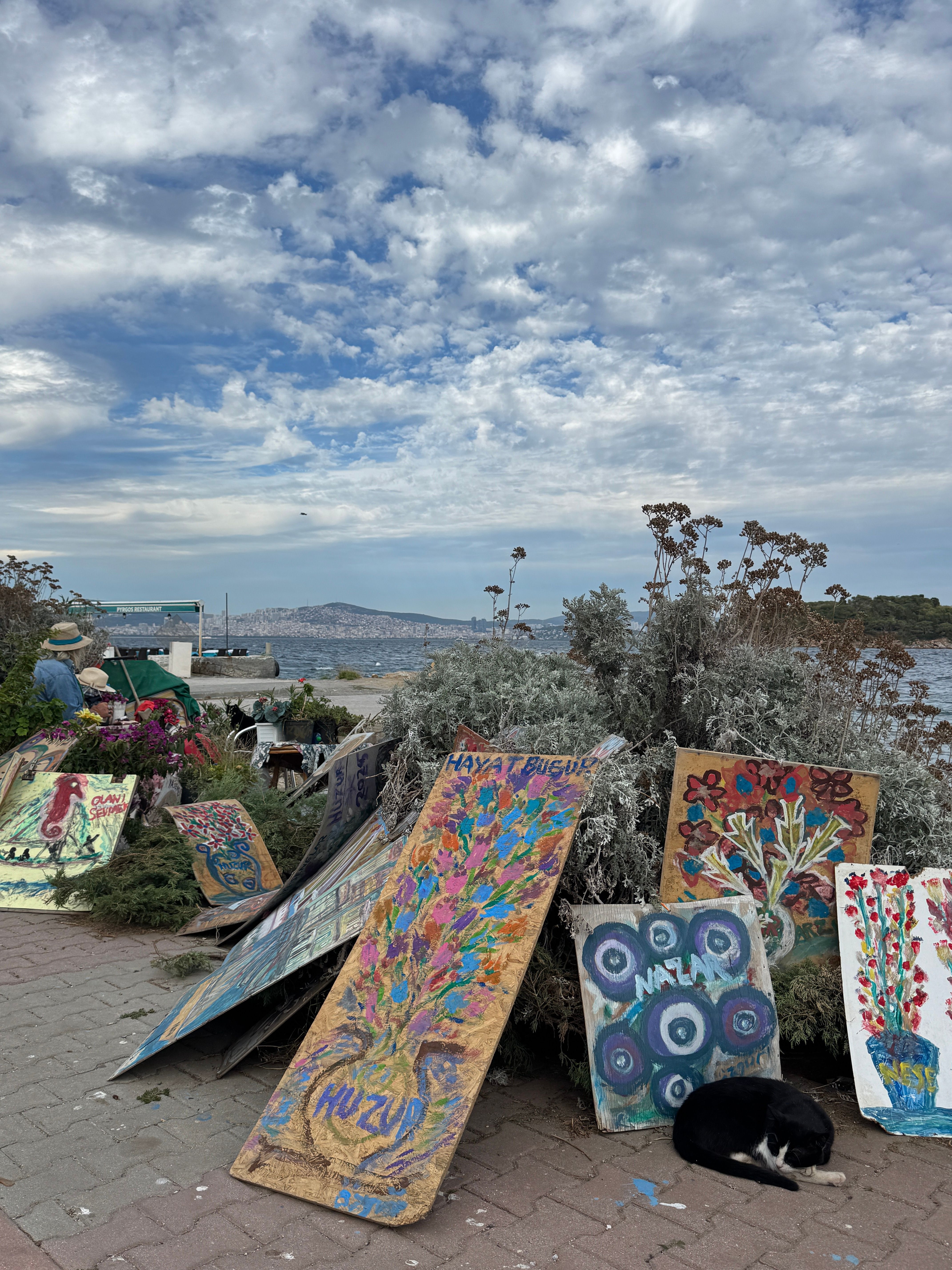 Colorful Art Display by the Seaside with Black Cat · Free Stock Photo