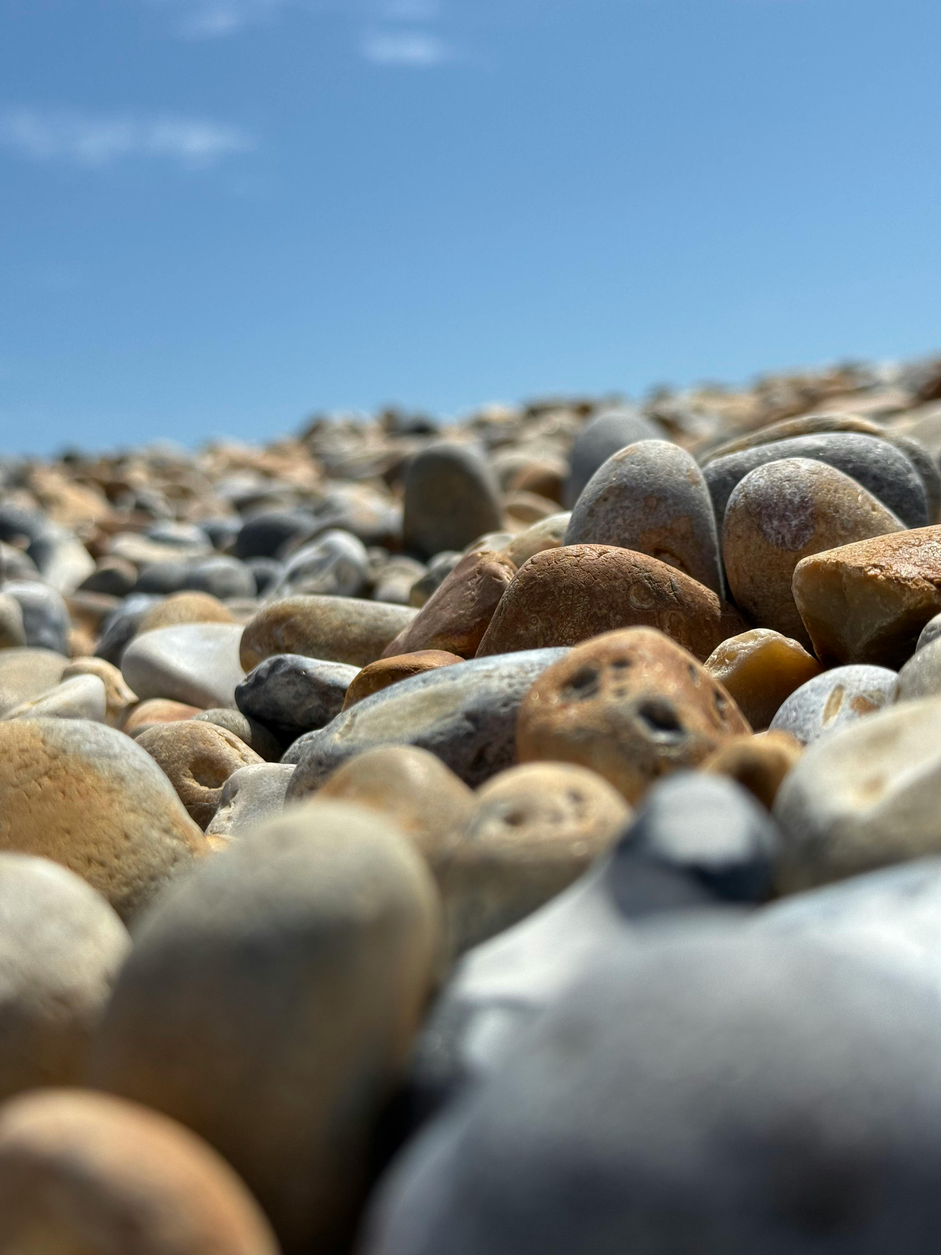 Foto de stock gratuita sobre @al aire libre, al aire libre, belleza ...