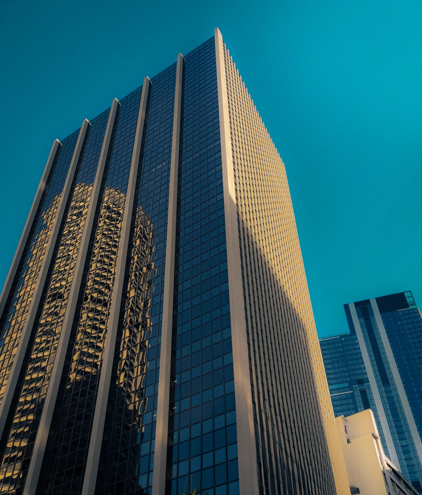 Tall Photos, Download The BEST Free Tall Stock Photos & HD Images