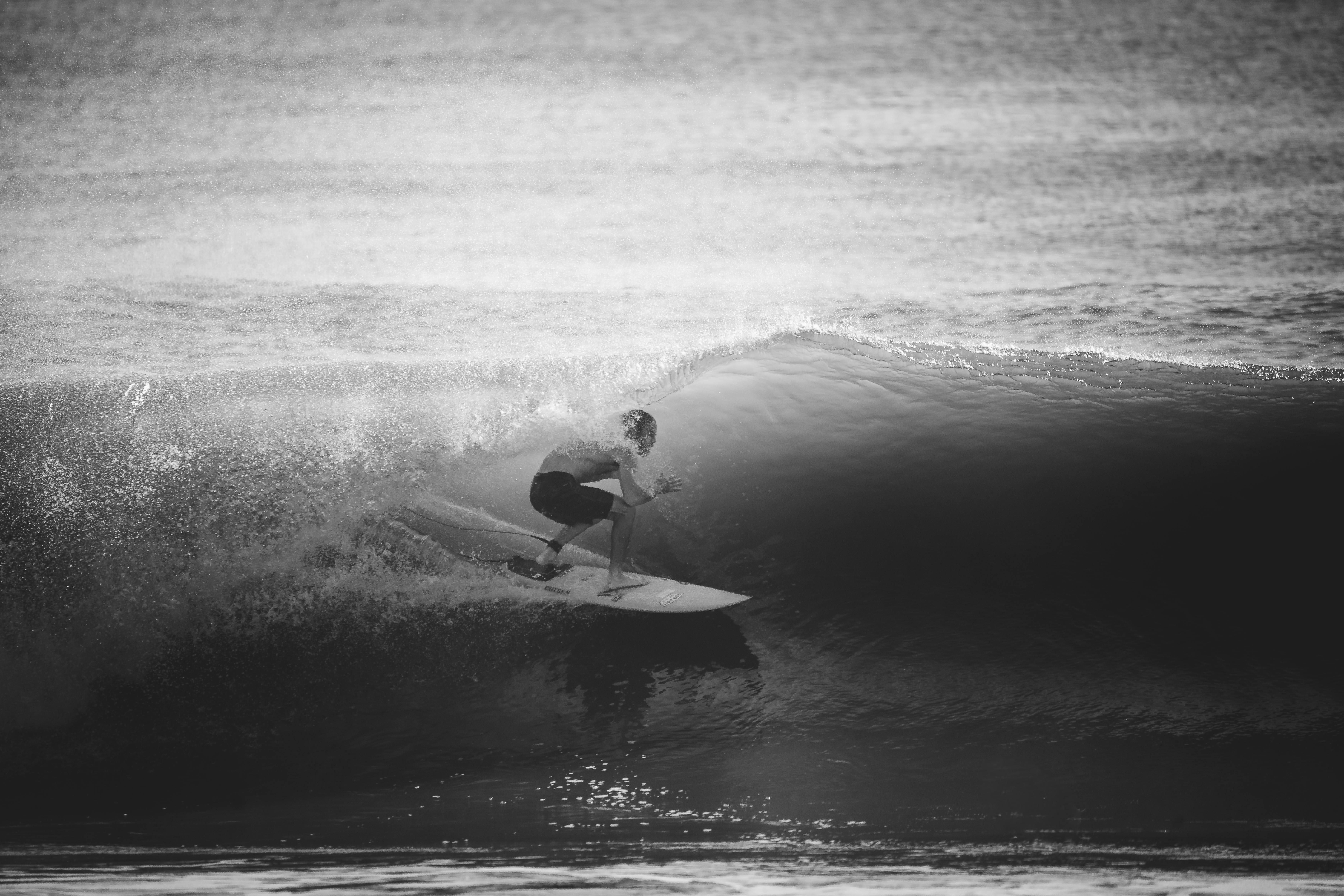 Surfing Cartoons Photos, Download The BEST Free Surfing Cartoons Stock ...