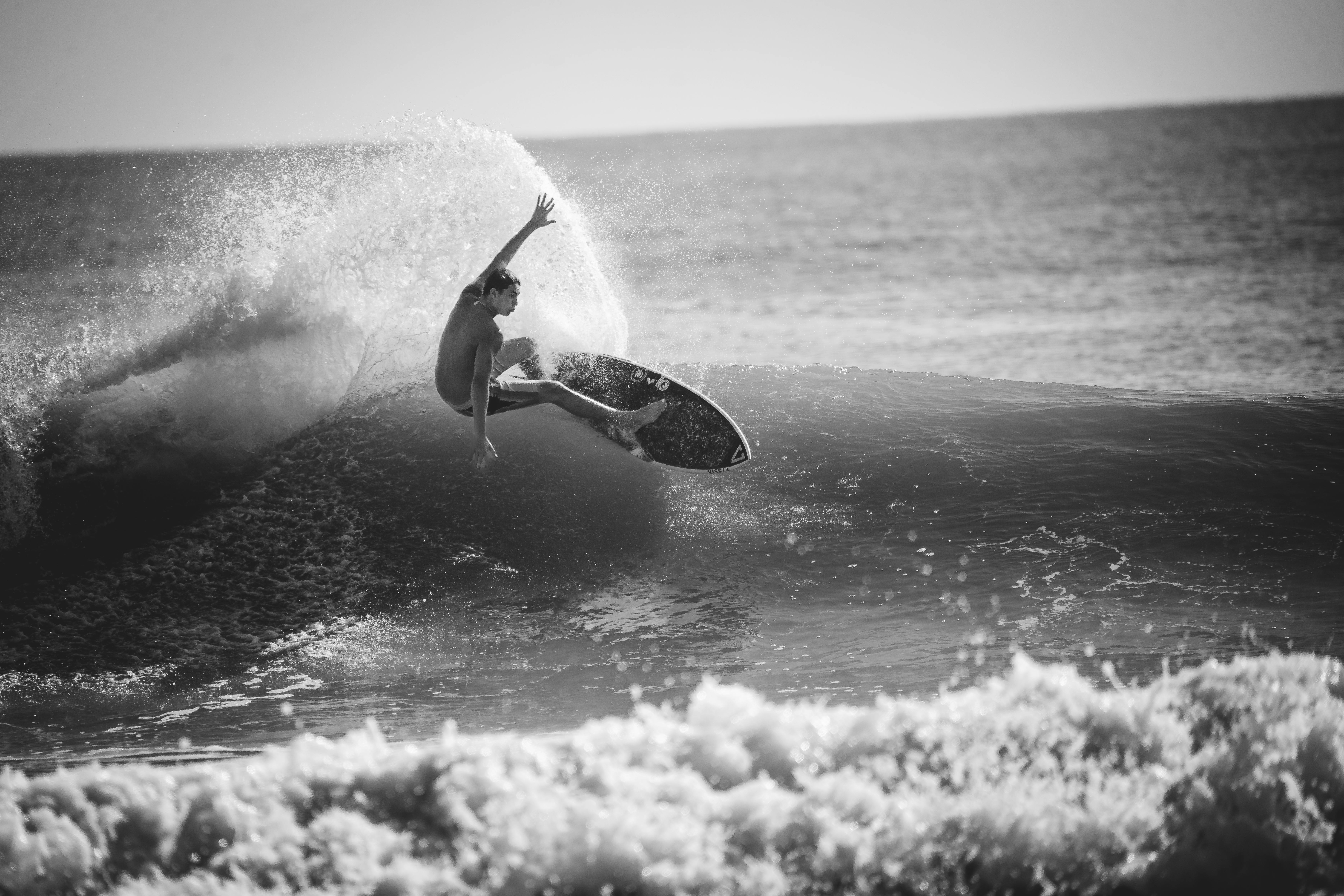 Sea+Eater+Picture Photos, Download The BEST Free Sea+Eater+Picture ...