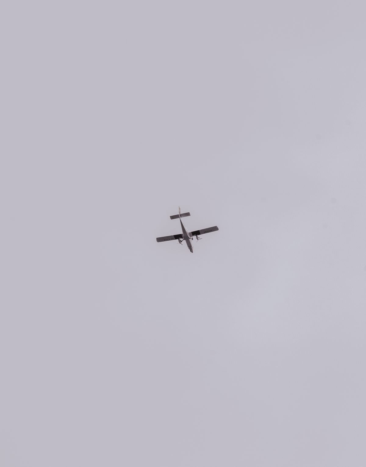 Animated Airplane Photos, Download The BEST Free Animated Airplane ...