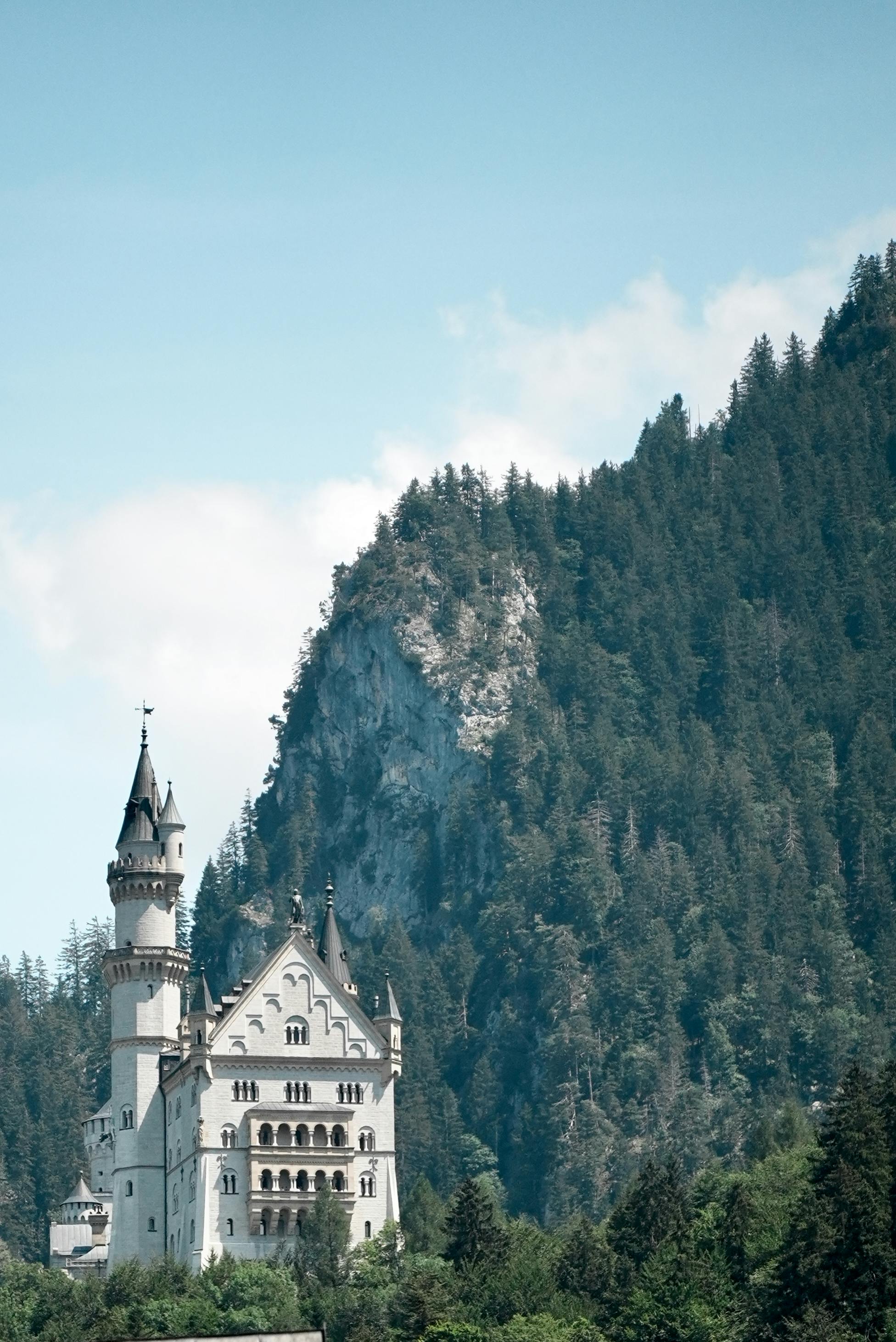 Medieval Castle Photos, Download The BEST Free Medieval Castle Stock ...