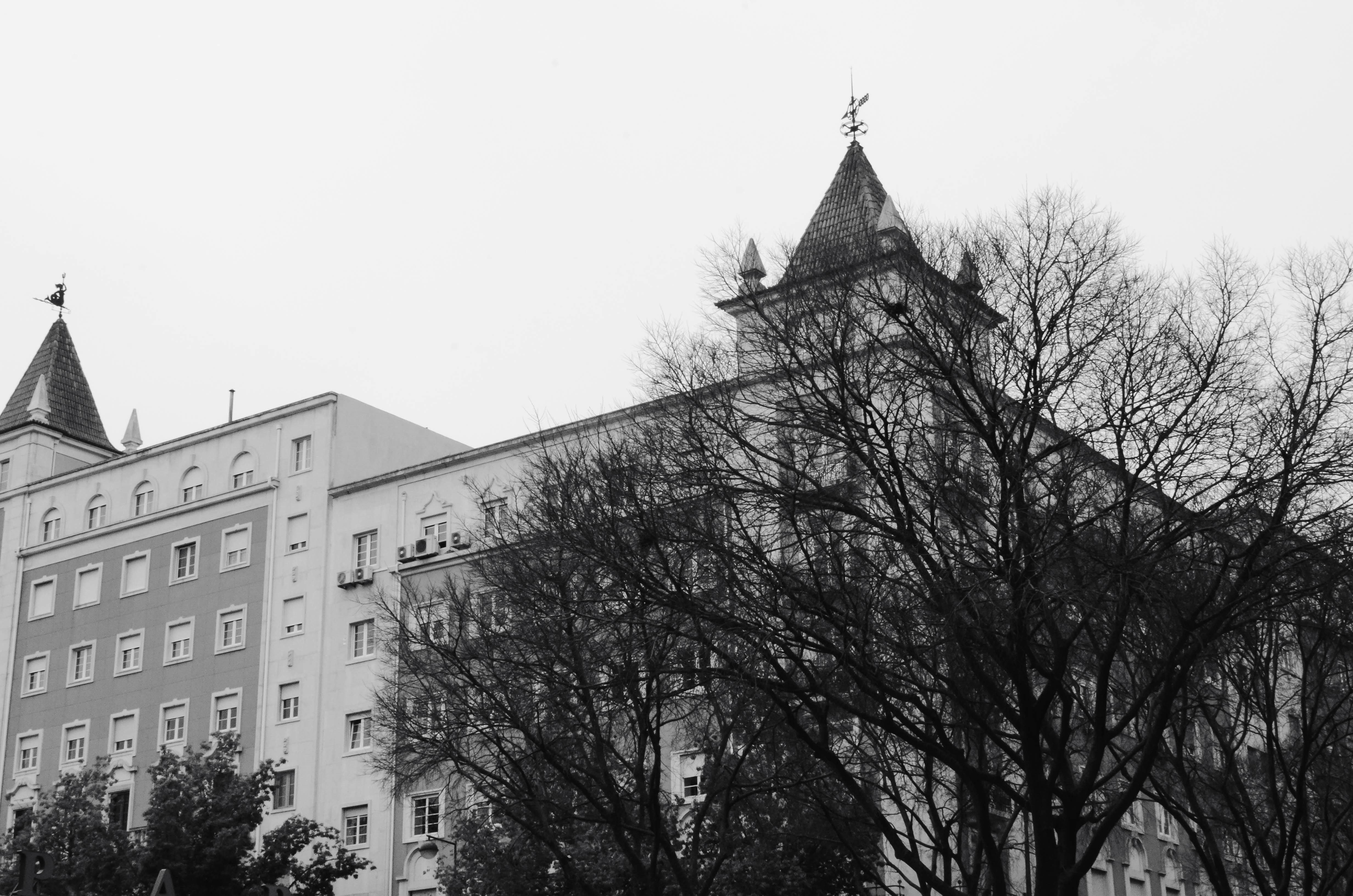 Winter Milkshake Photos, Download The BEST Free Winter Milkshake Stock ...