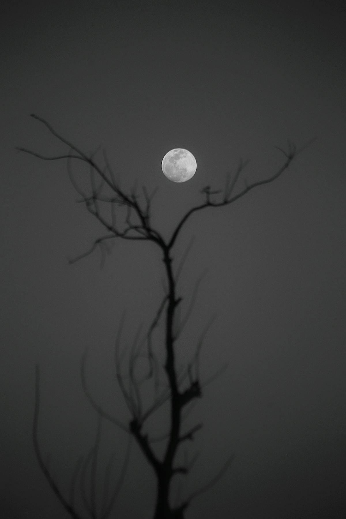 Night Sky Pfp Photos, Download The BEST Free Night Sky Pfp Stock Photos ...