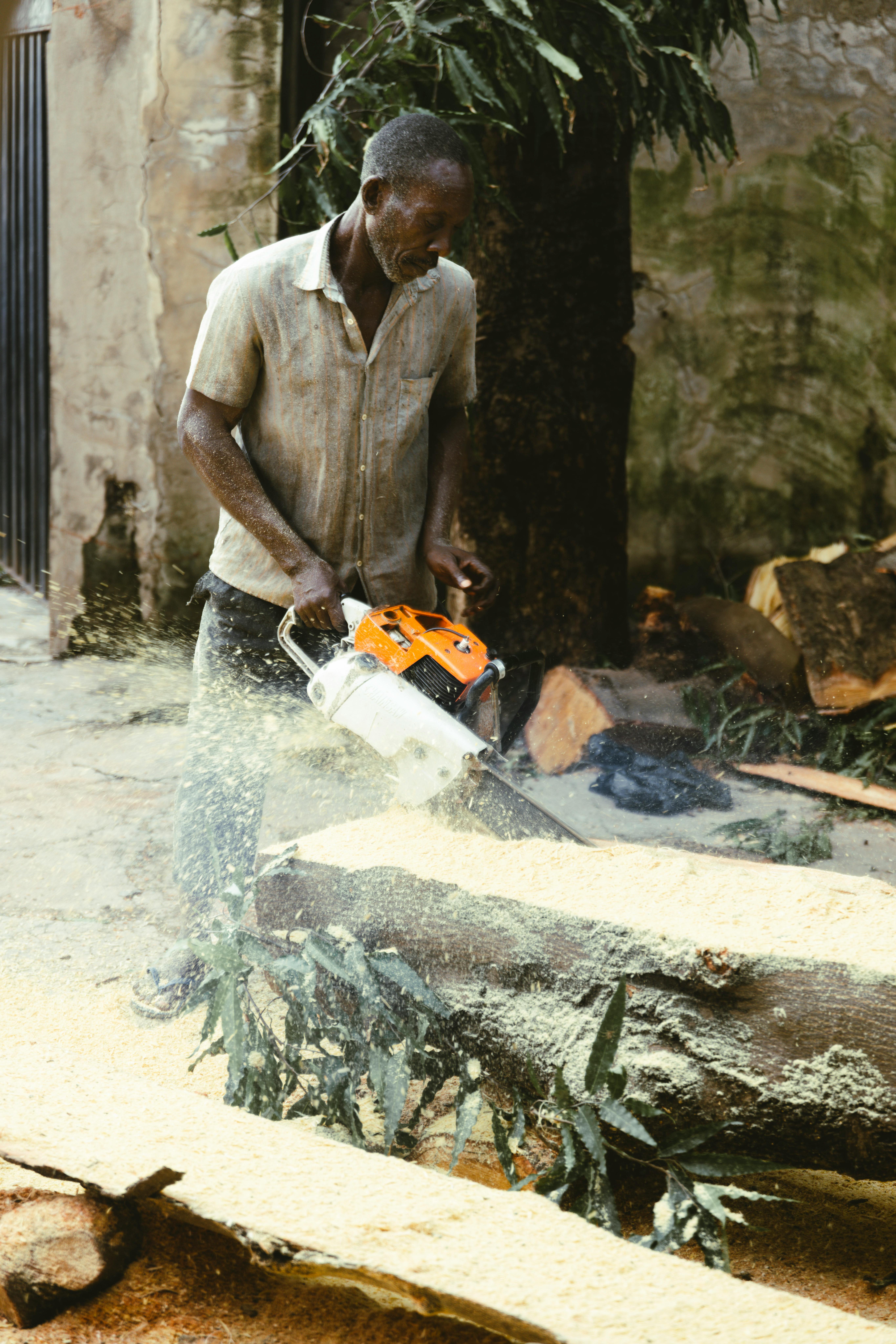 Logging Photos, Download The BEST Free Logging Stock Photos & HD Images