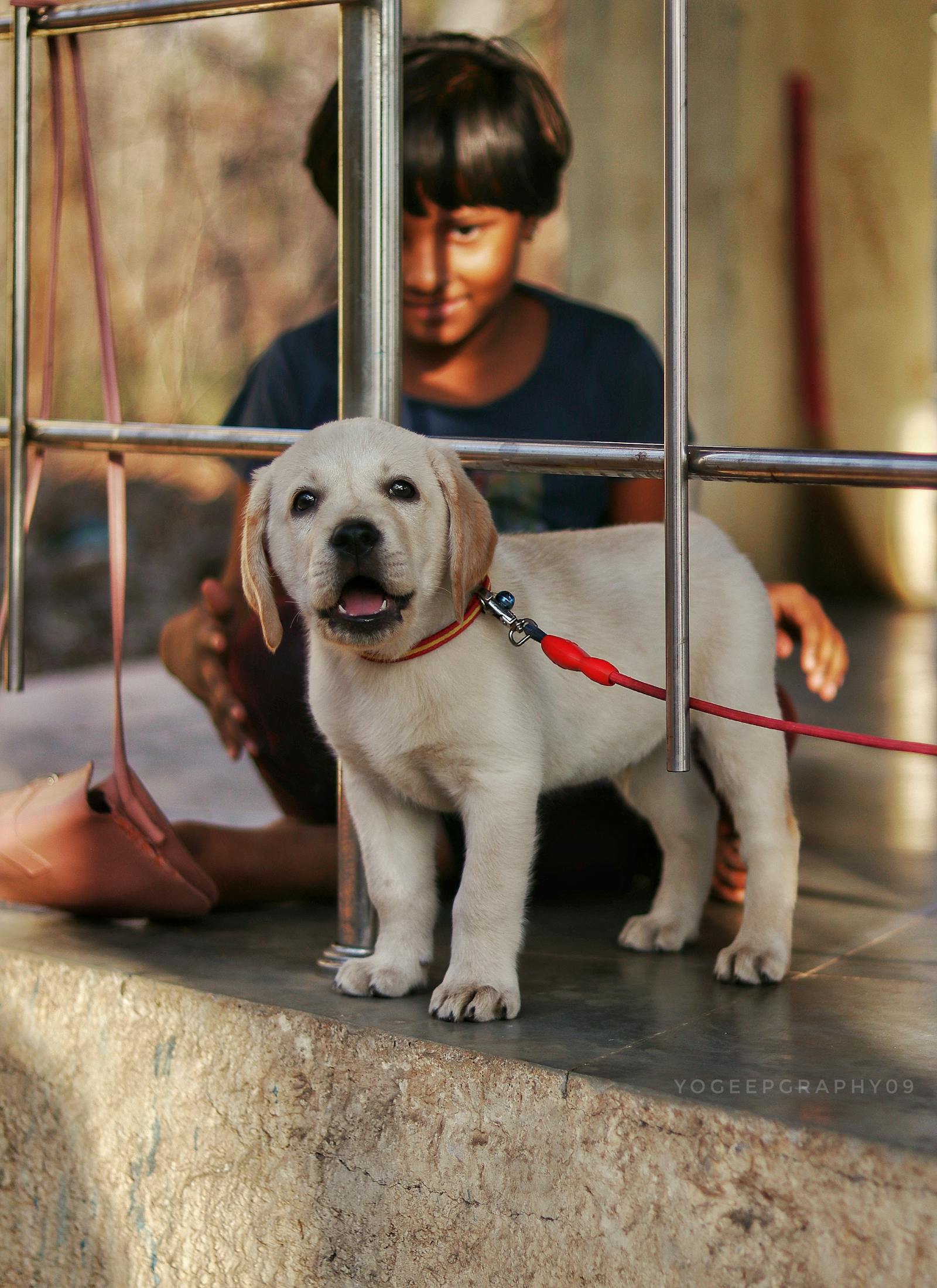 Cute Kuromi Photos, Download The BEST Free Cute Kuromi Stock Photos ...