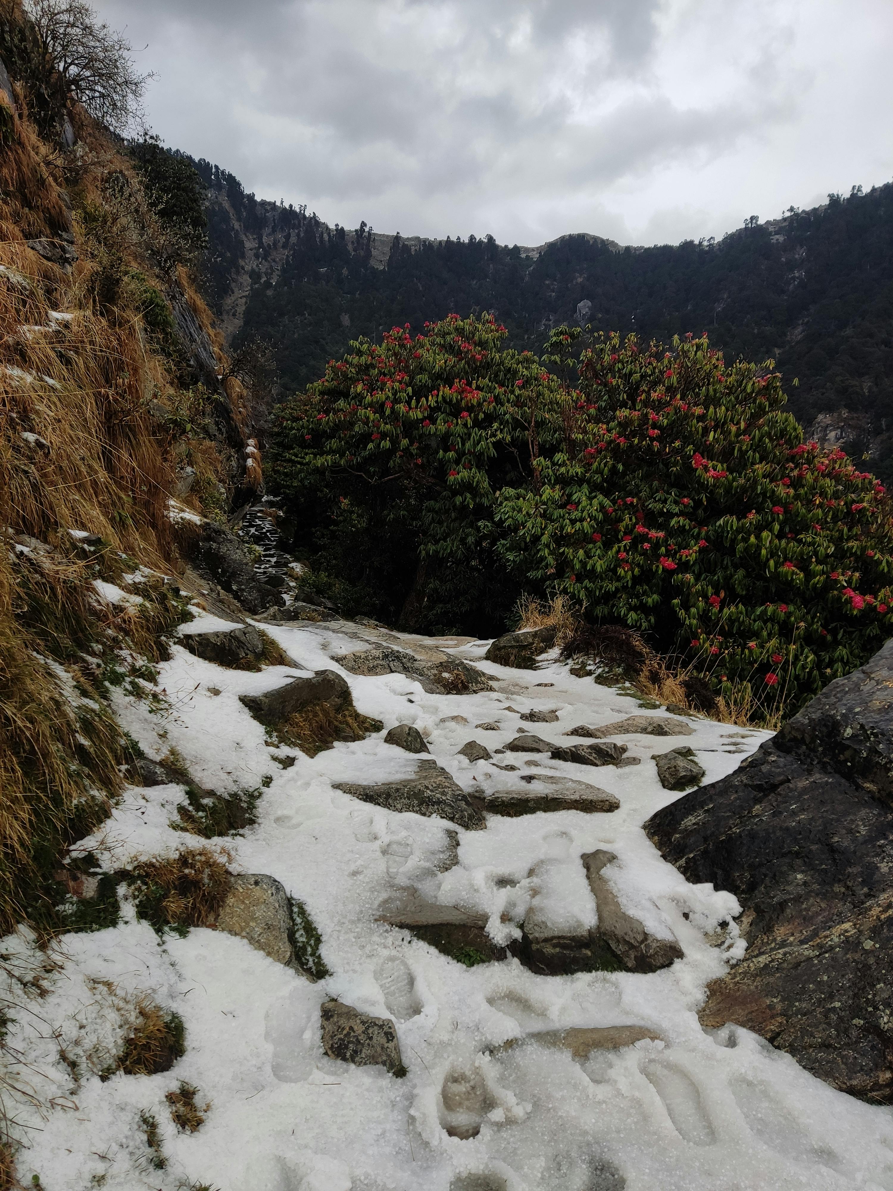 Physical Geography Photos, Download The BEST Free Physical Geography ...