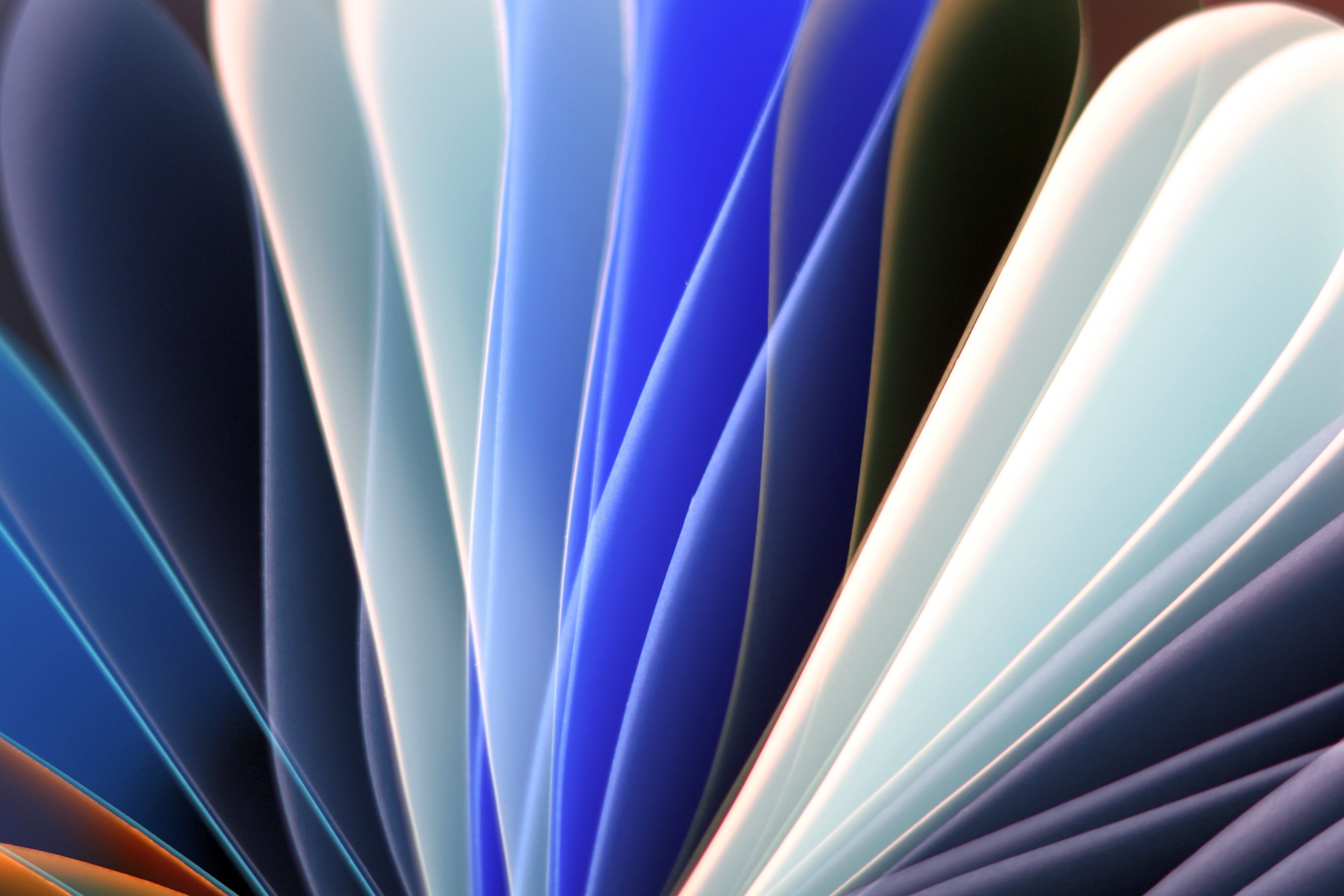 Colorful Abstract Paper Art Layers · Free Stock Photo