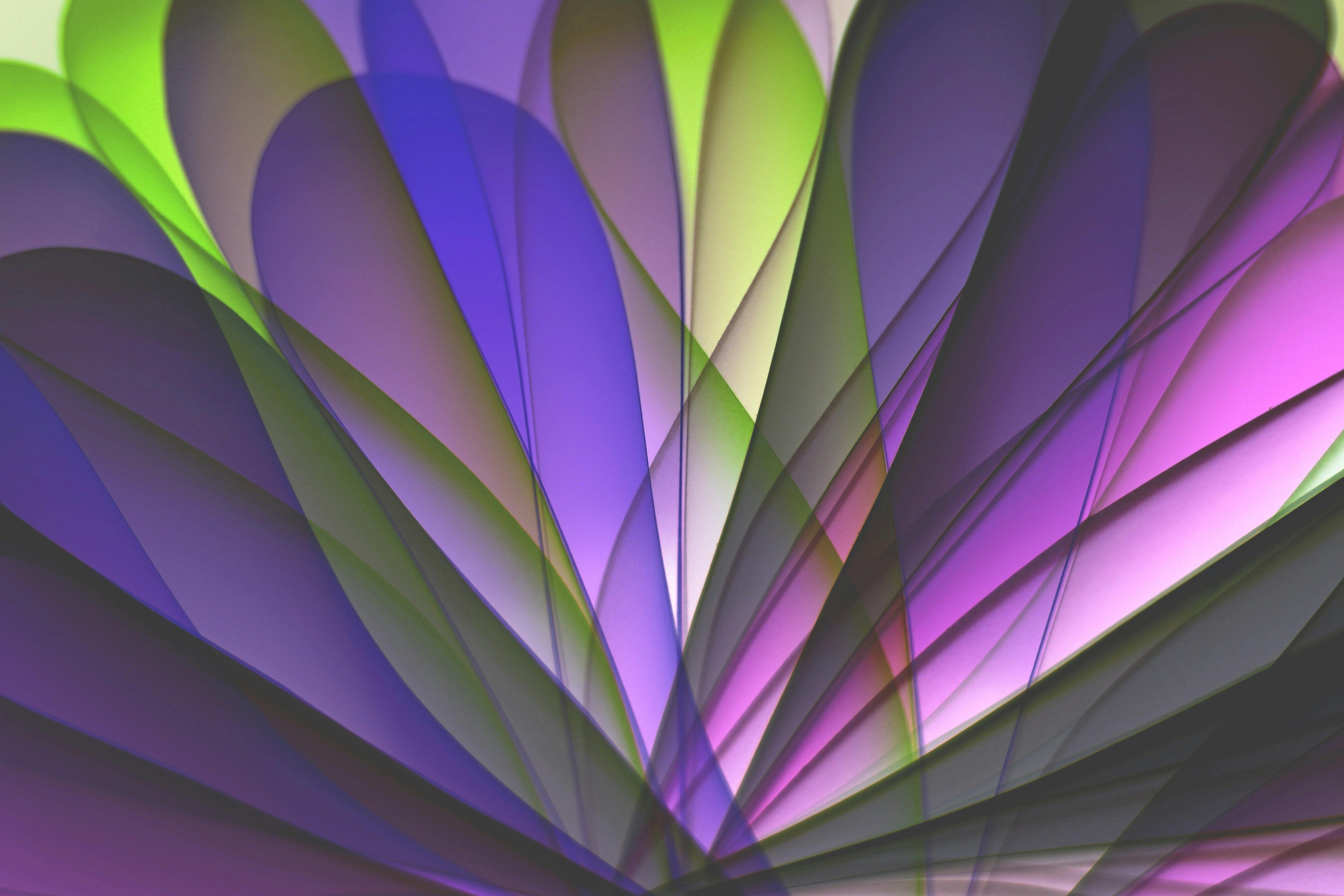 Symmetrical Photos, Download The BEST Free Symmetrical Stock Photos ...