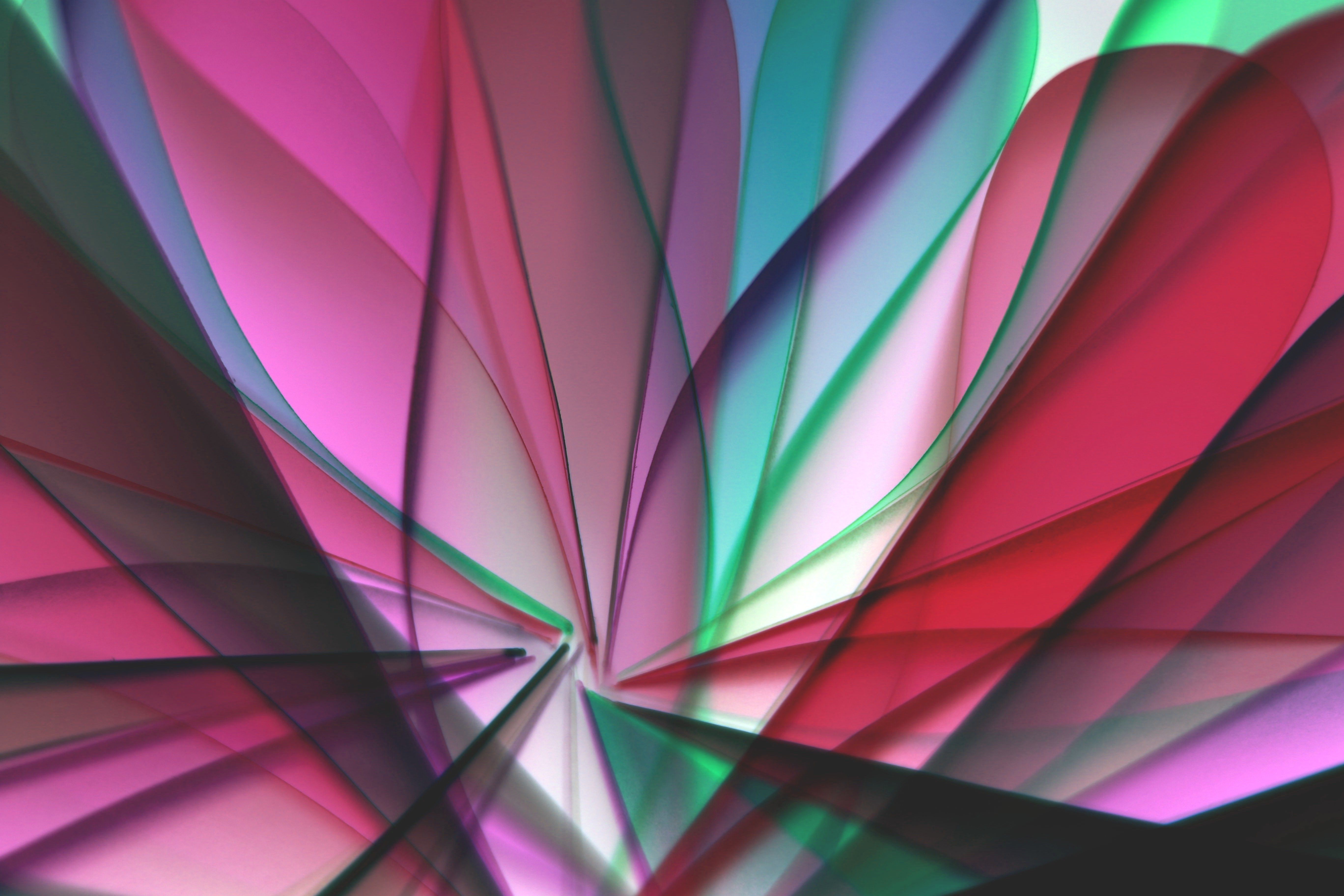 Tri-Color Background · Free Stock Photo