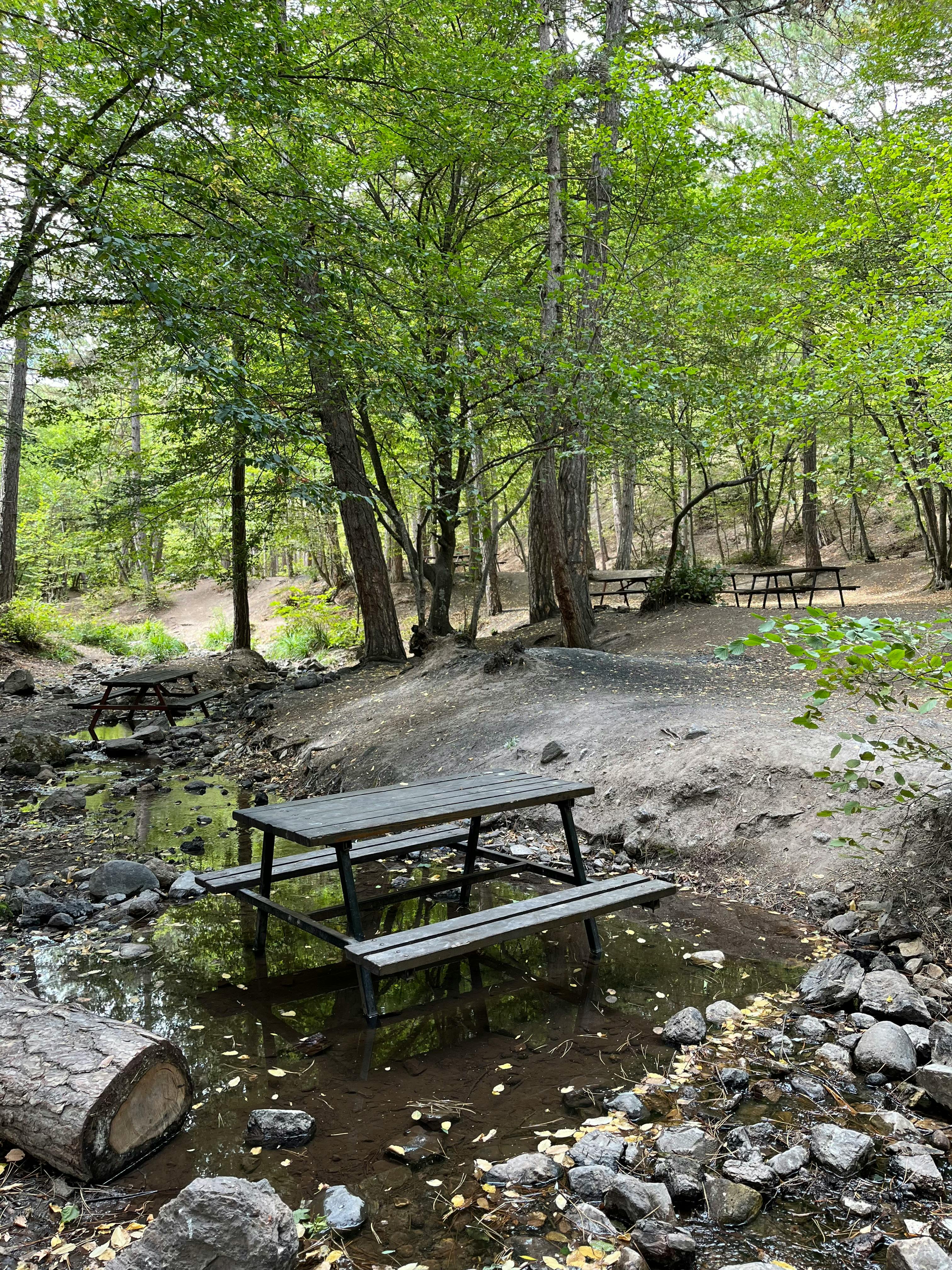 Danielle+Moss+Wallpaper Photos, Download The BEST Free Danielle+Moss ...