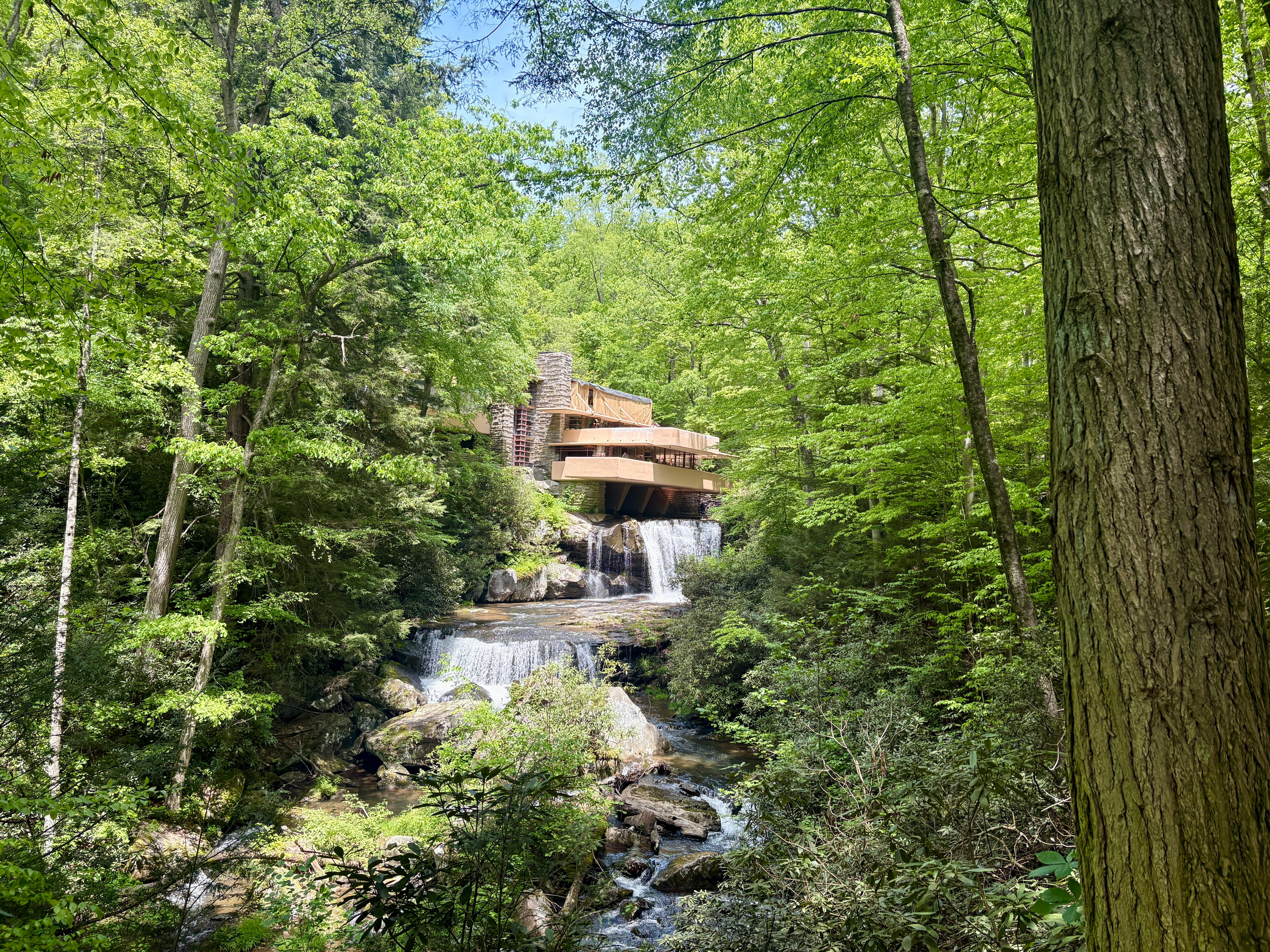 Fallingwater in Lush Springtime Forest · Free Stock Photo