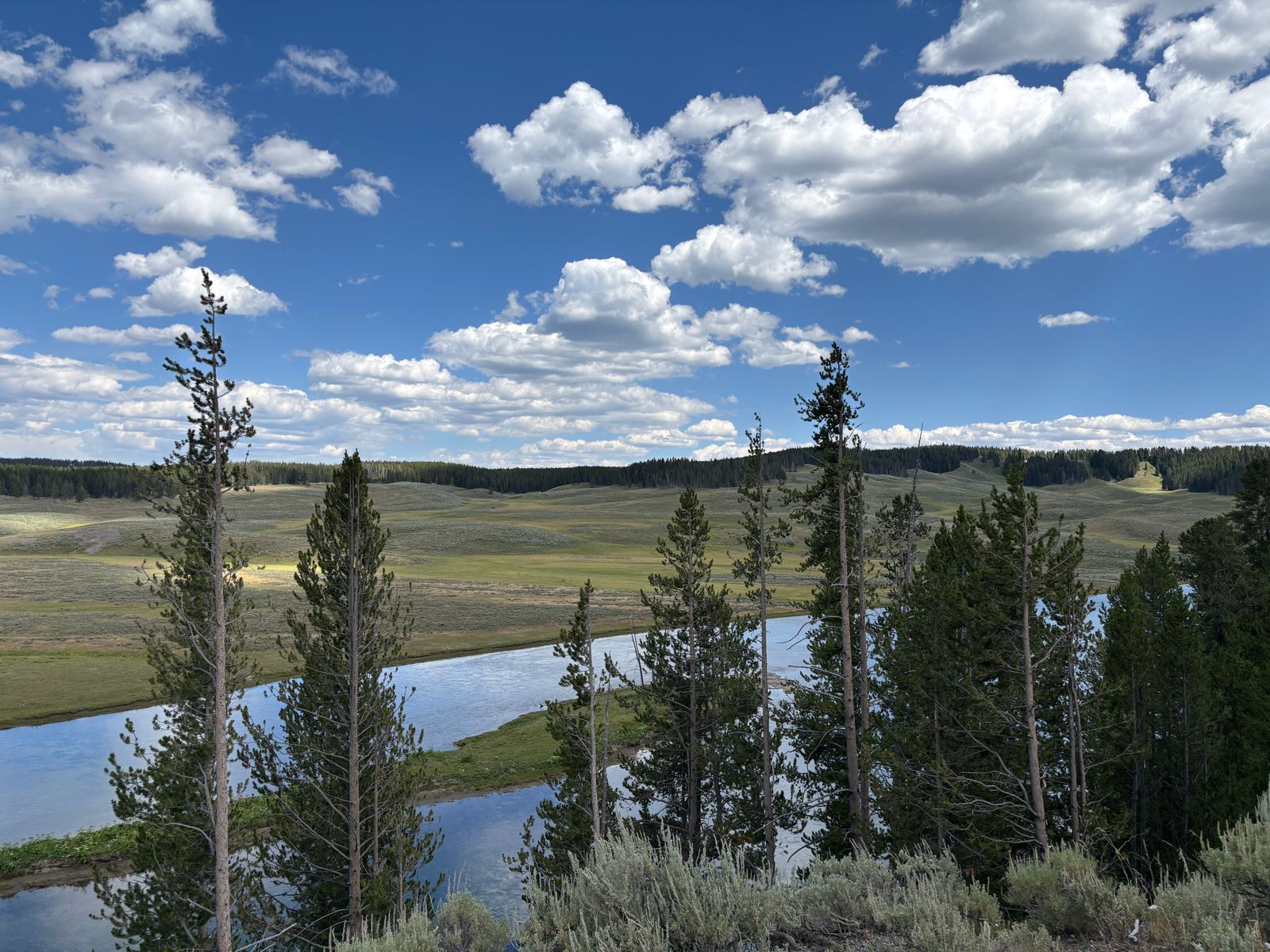 Yellowstone Landscape Photos, Download The BEST Free Yellowstone ...