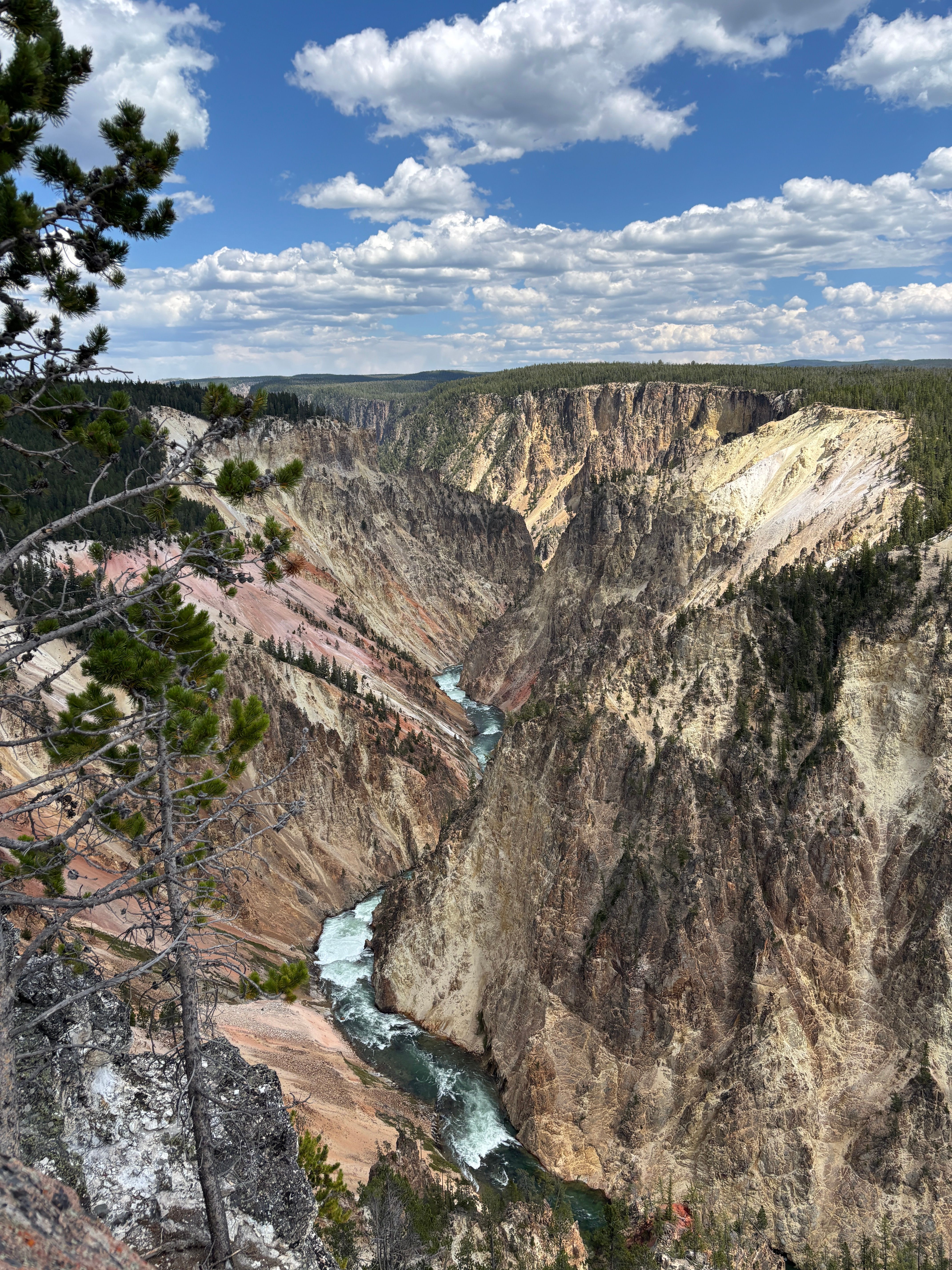 Grand Canyon of the Yellowstone with River View · Free Stock Photo