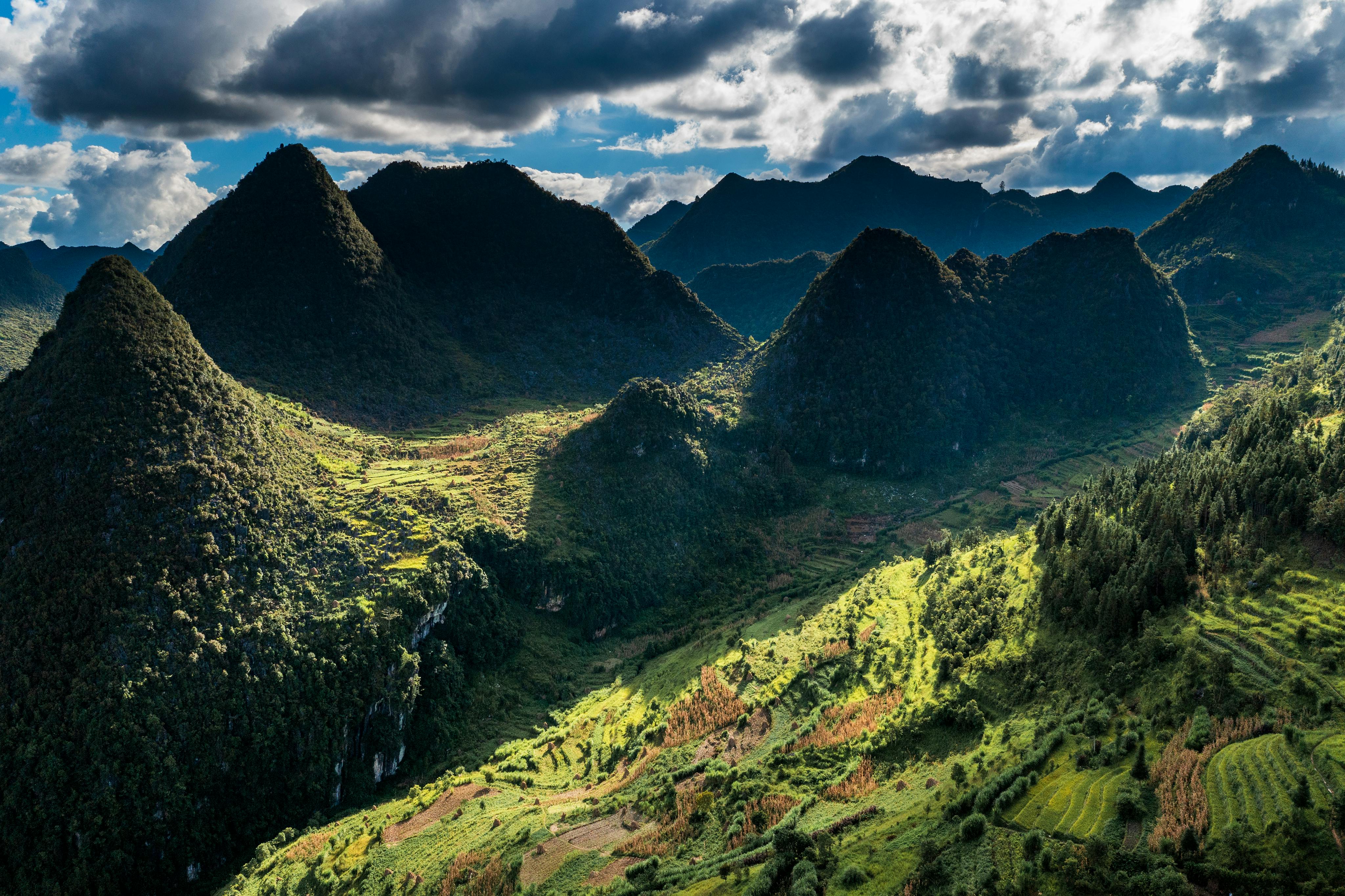 Aerial View Of Swans Photos, Download The BEST Free Aerial View Of ...