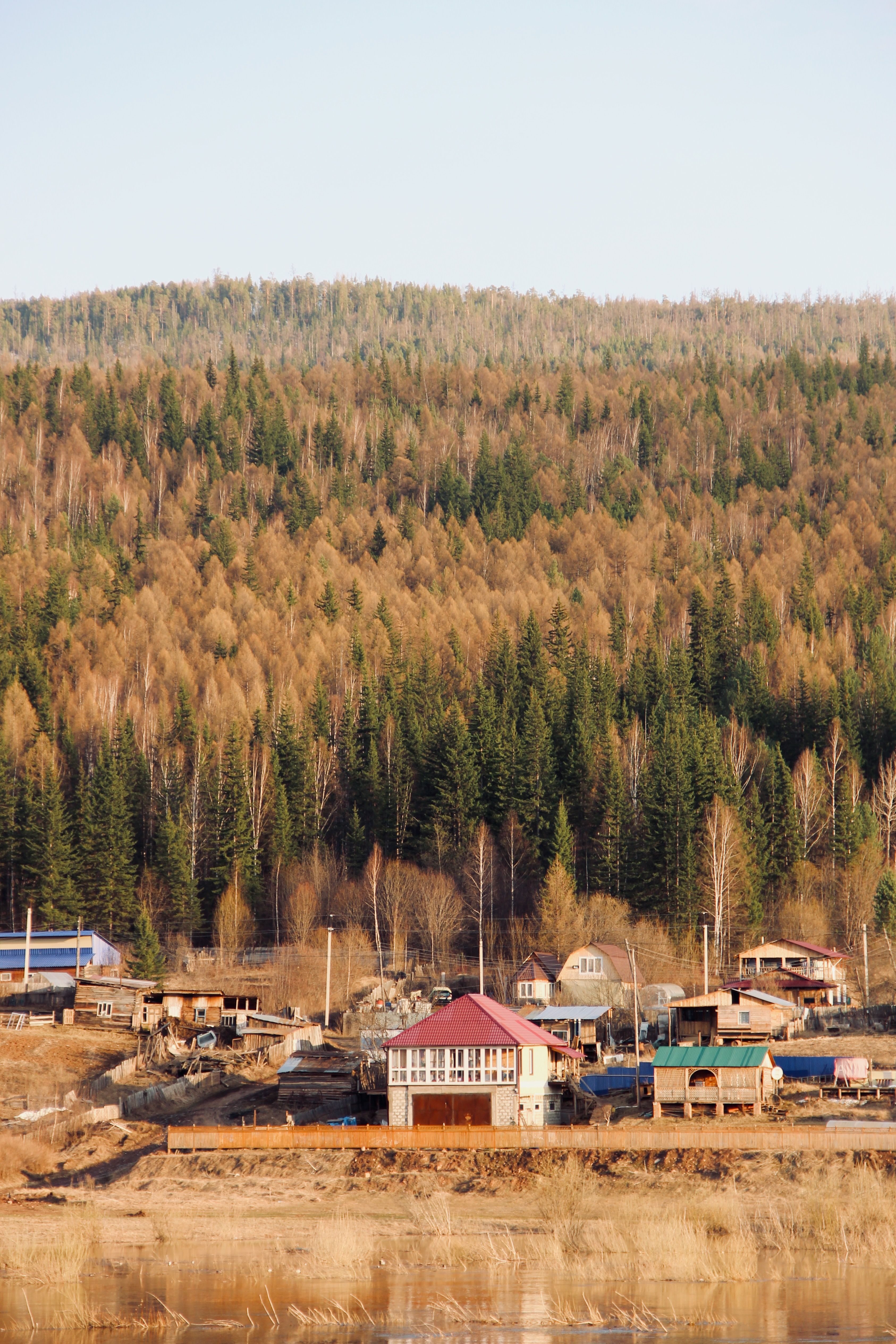 Scenic View of Russian Village with Forest Backdrop · Free Stock Photo