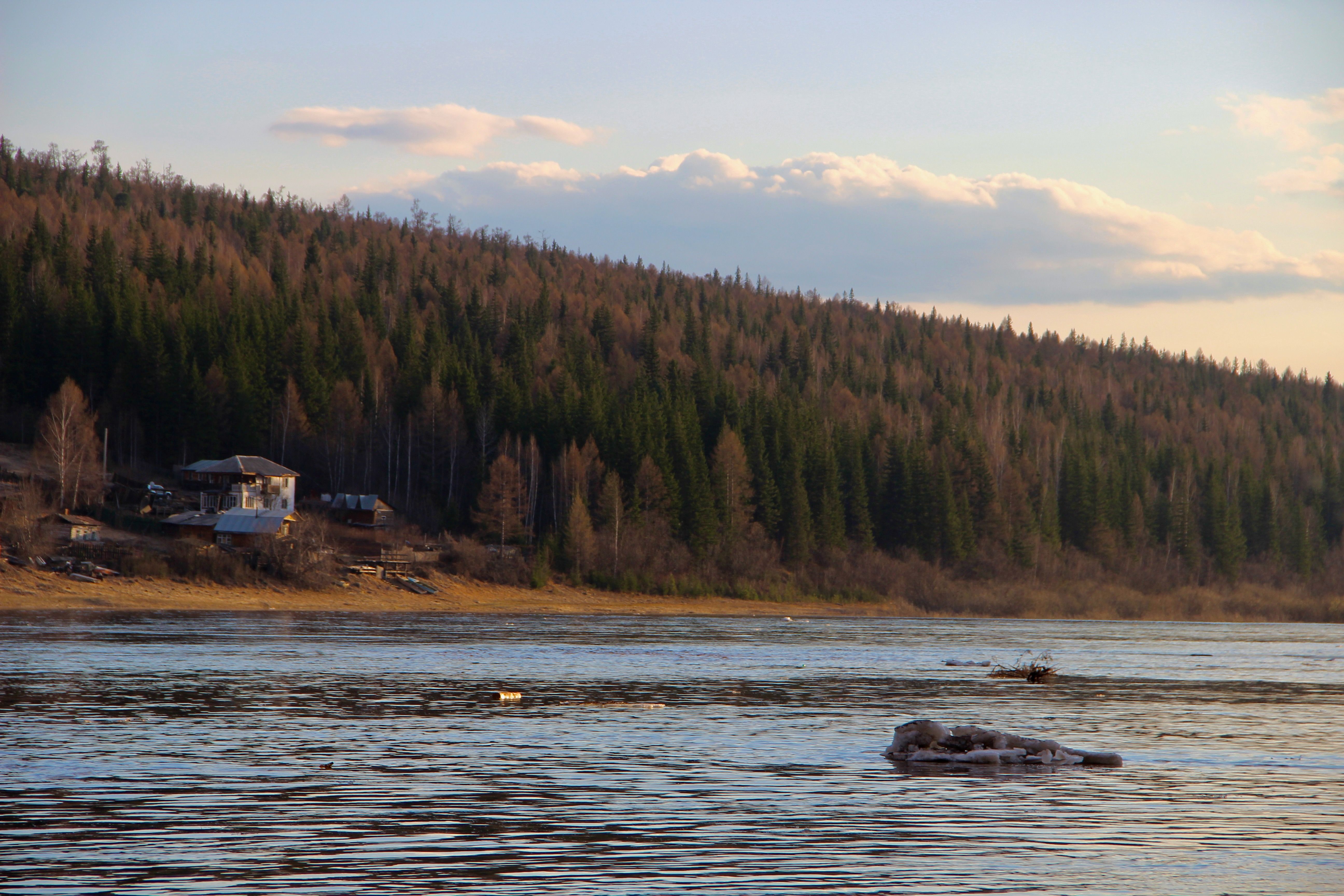Tranquil River and Pine Forest at Sunset in Irkutsk · Free Stock Photo