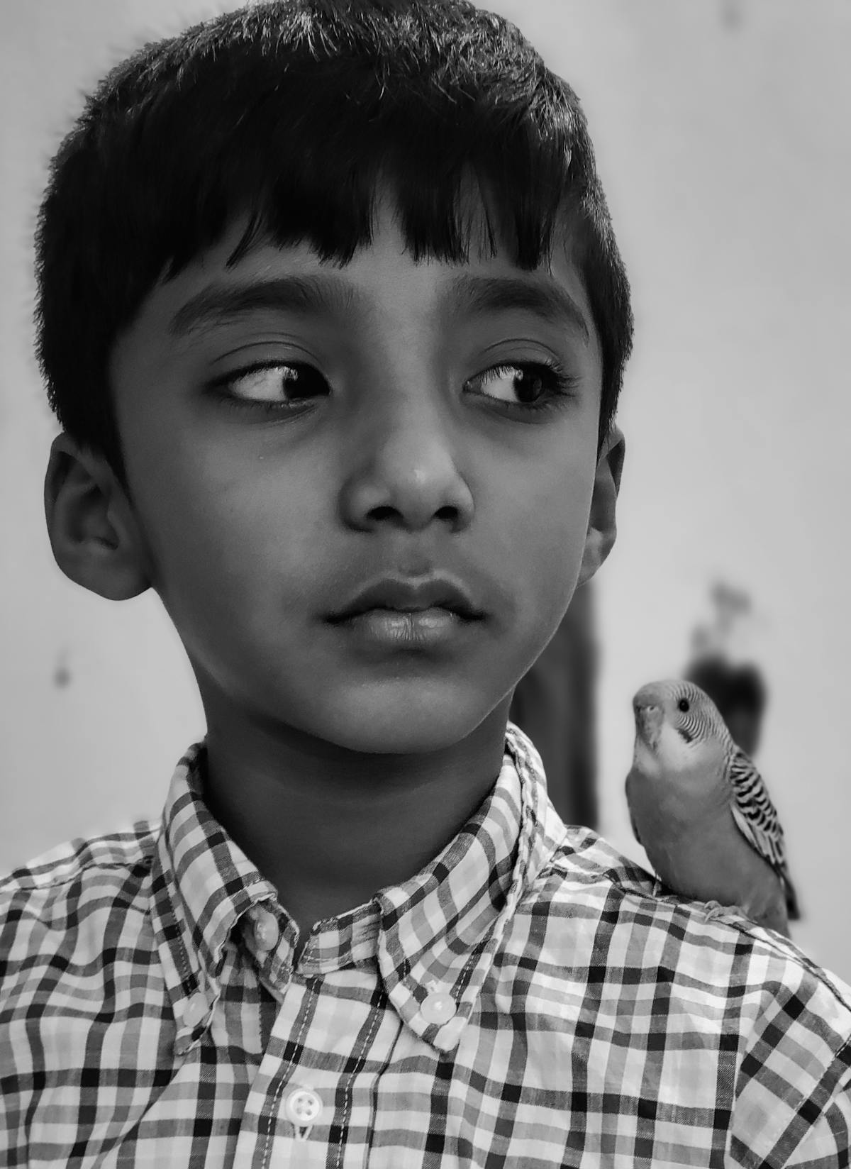 Anime Boy Pfp Photos, Download The BEST Free Anime Boy Pfp Stock Photos ...