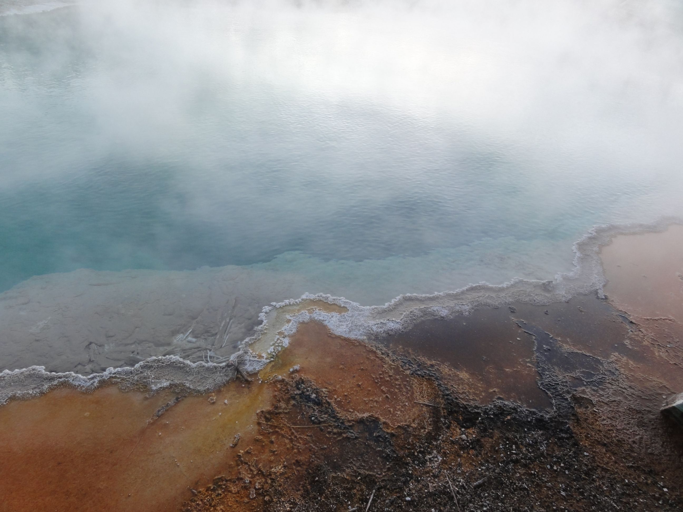 Steaming Geothermal Pool in Yellowstone National Park · Free Stock Photo