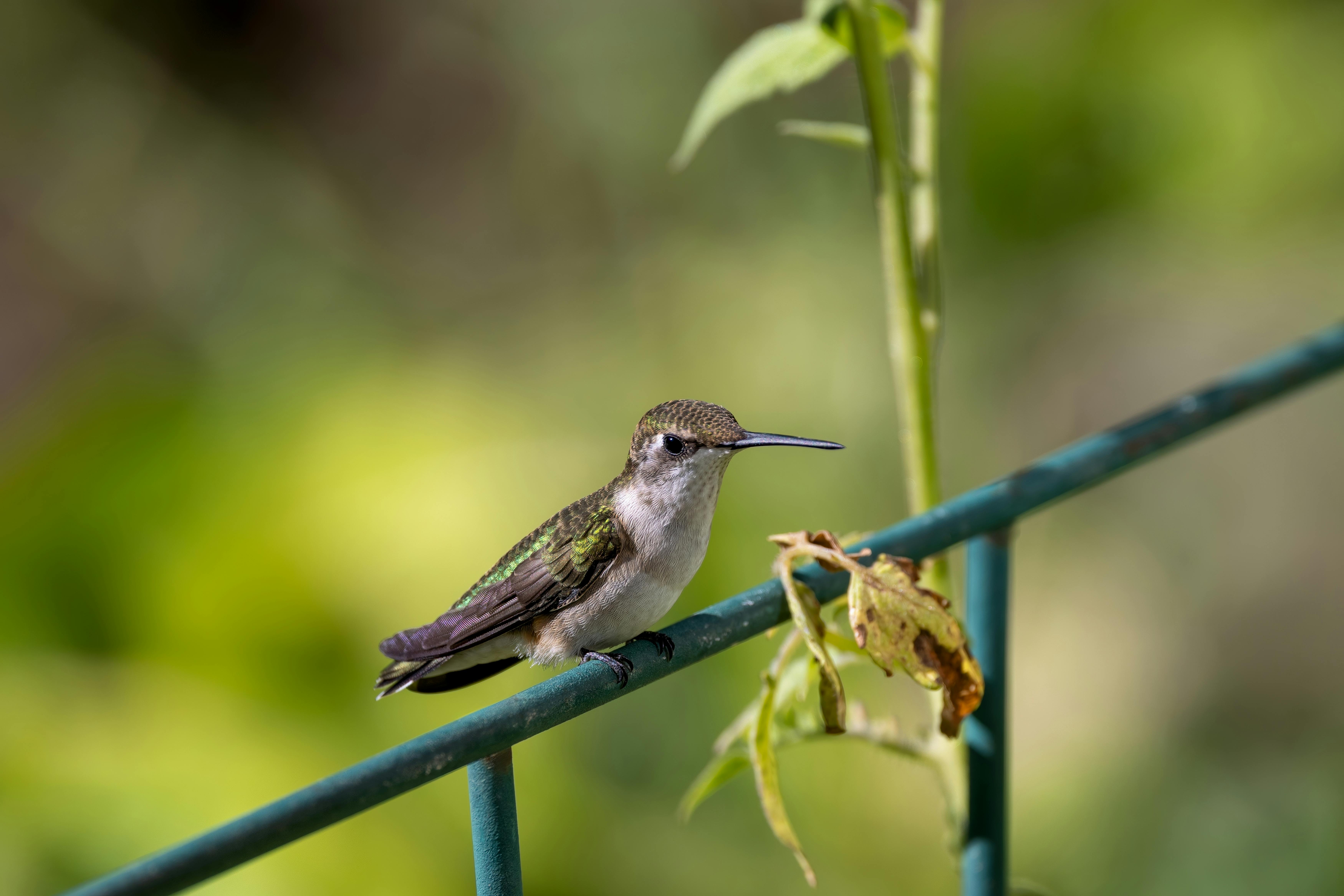 Ups Wallpaper Photos, Download The BEST Free Ups Wallpaper Stock Photos ...