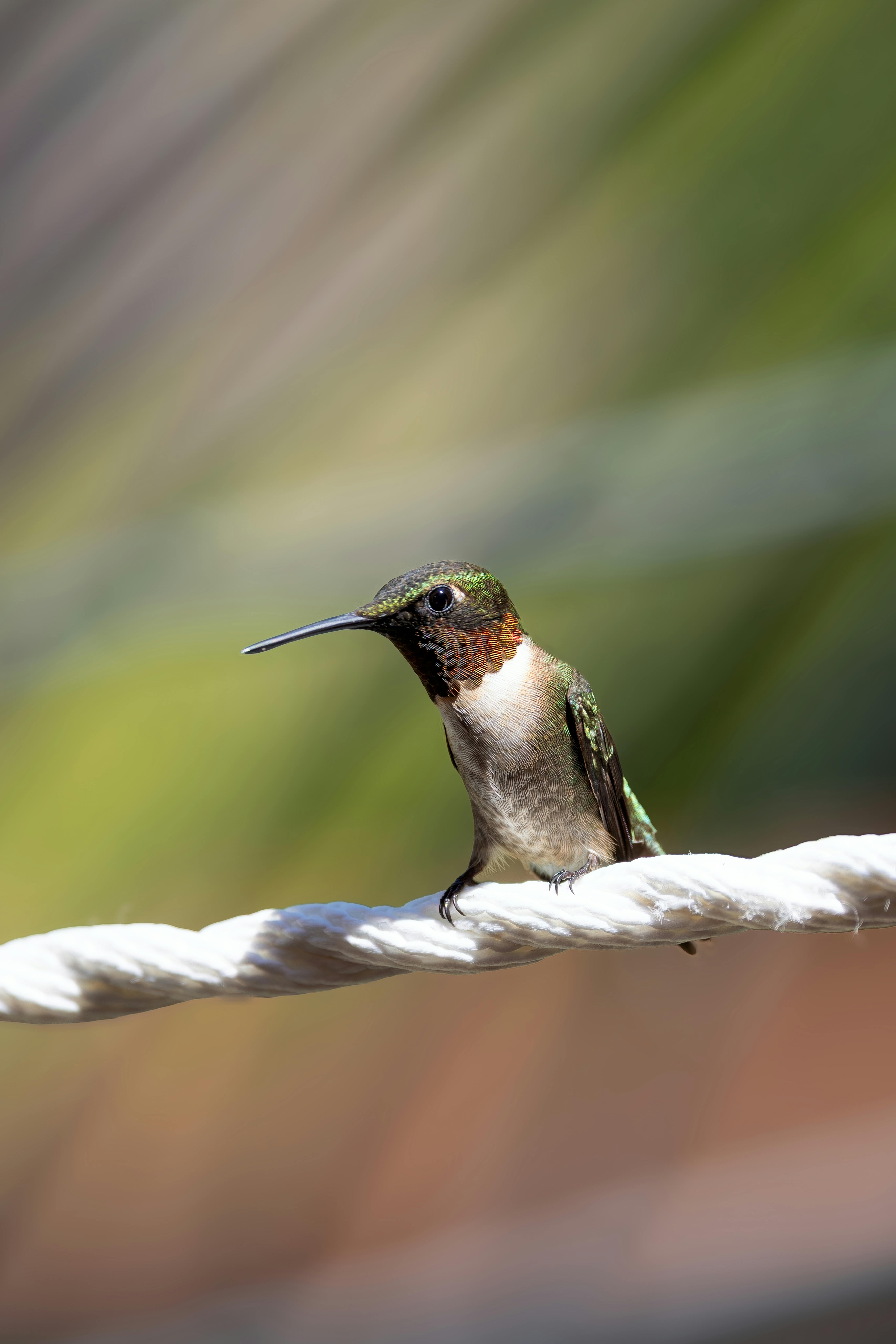 Anime Aura Wallpaper Photos, Download The BEST Free Anime Aura ...