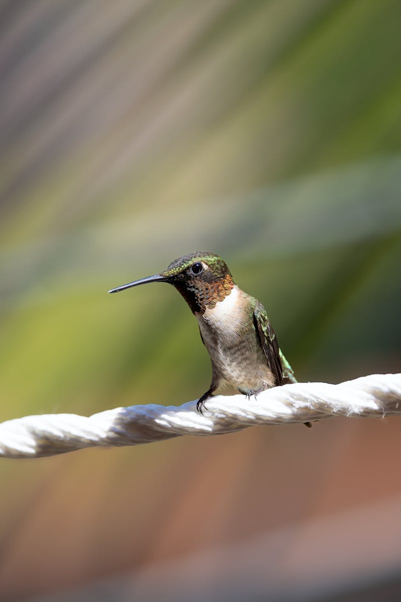 Ups Wallpaper Photos, Download The BEST Free Ups Wallpaper Stock Photos ...