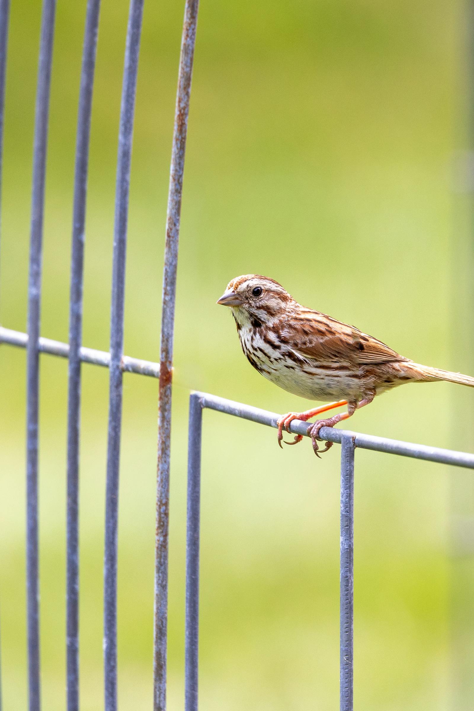 Ups Wallpaper Photos, Download The BEST Free Ups Wallpaper Stock Photos ...