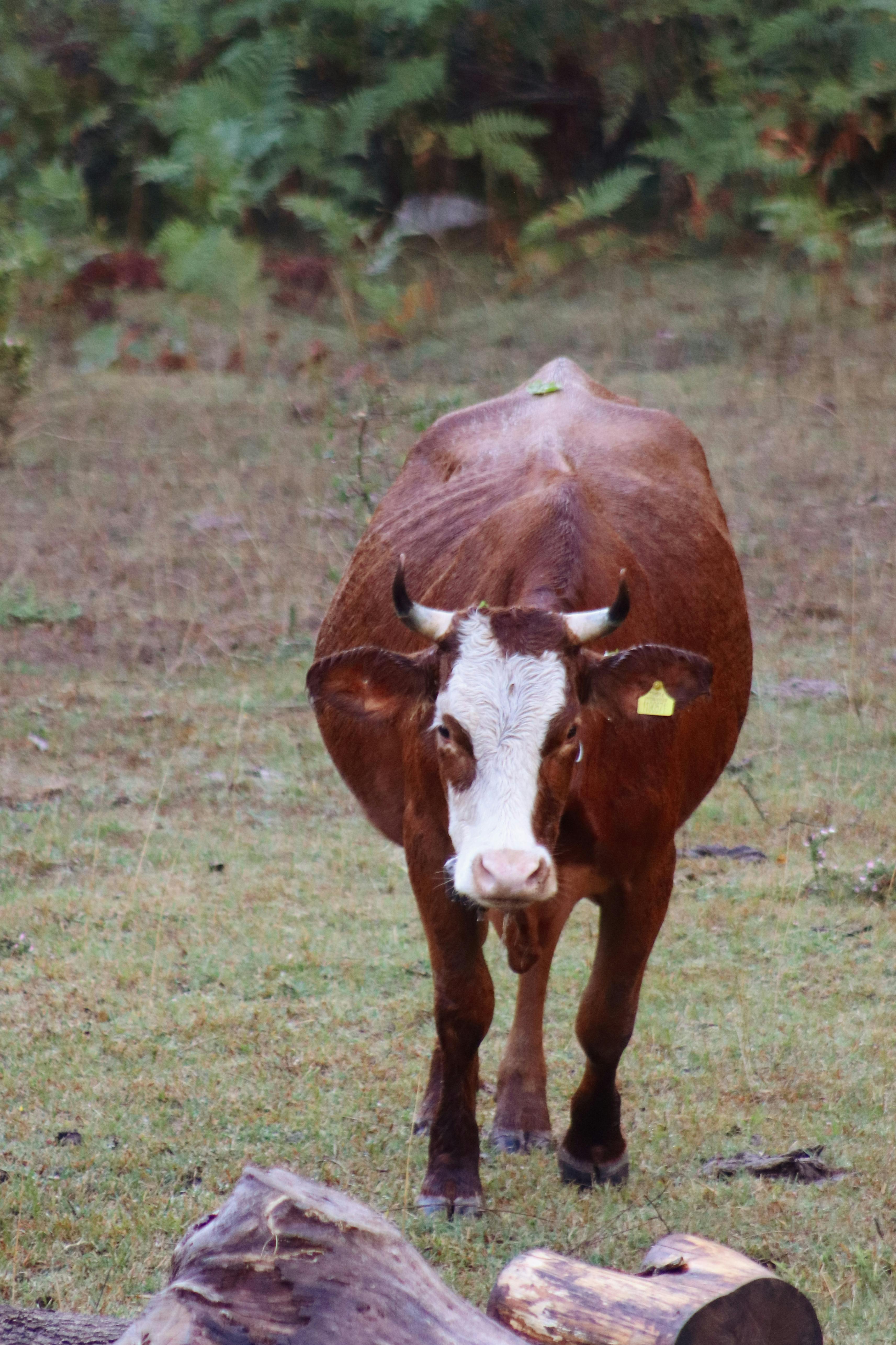 Ebony+Legs+Spread+Wide+Open Photos, Download The BEST Free Ebony+Legs ...