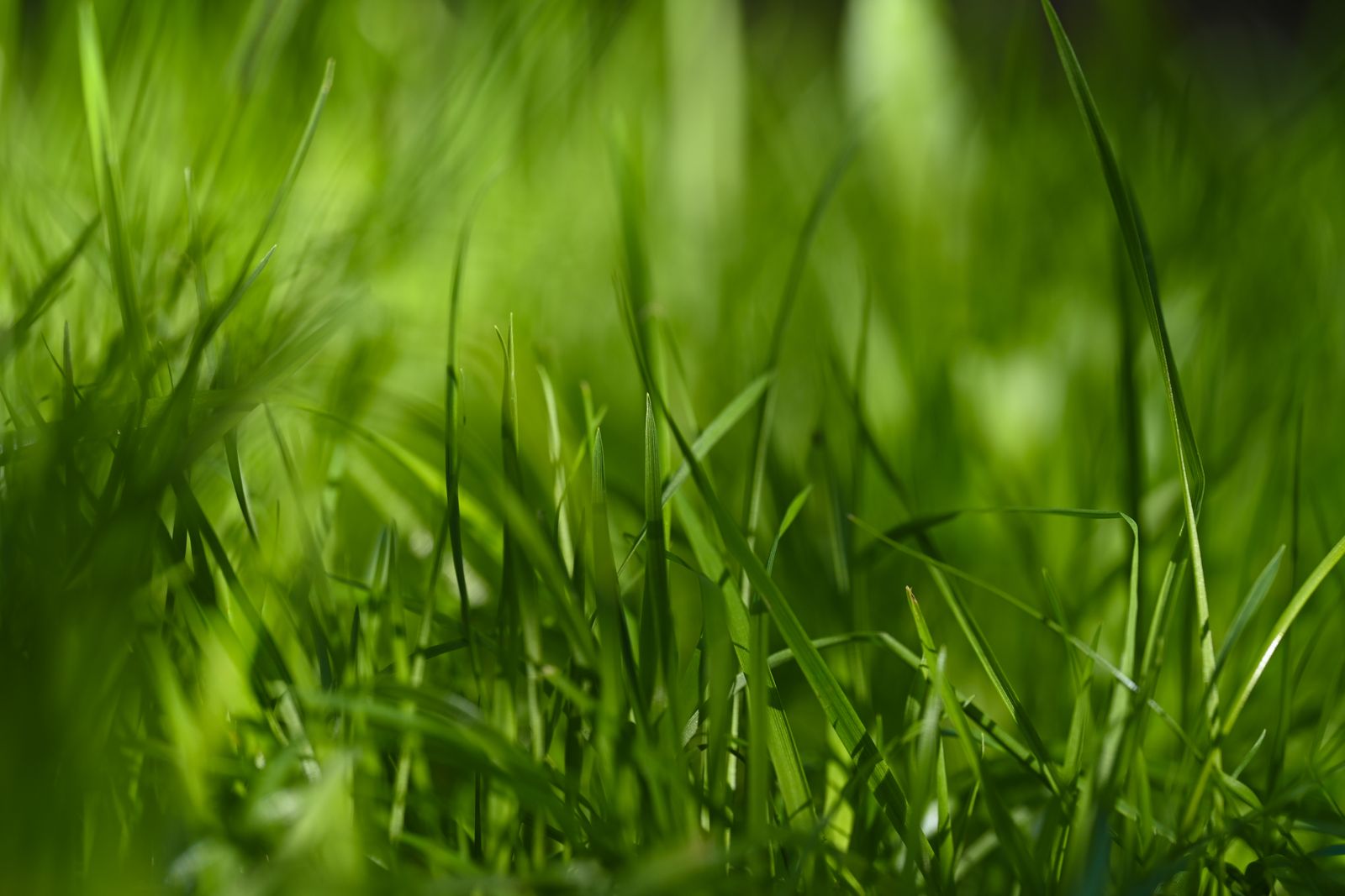 Pobble+Images Photos, Download The BEST Free Pobble+Images Stock Photos ...