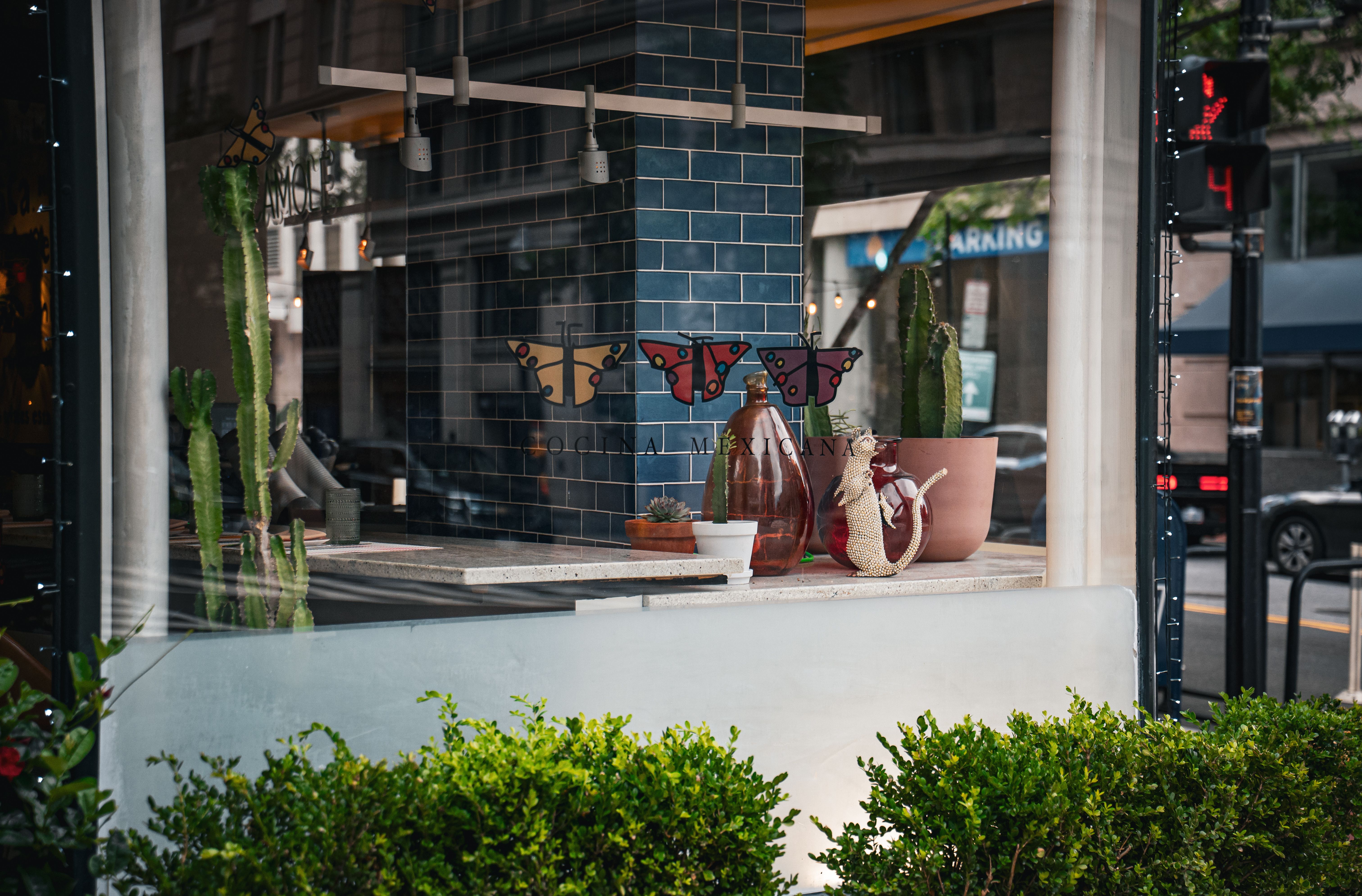 Charming Shop Window Display with Cacti · Free Stock Photo