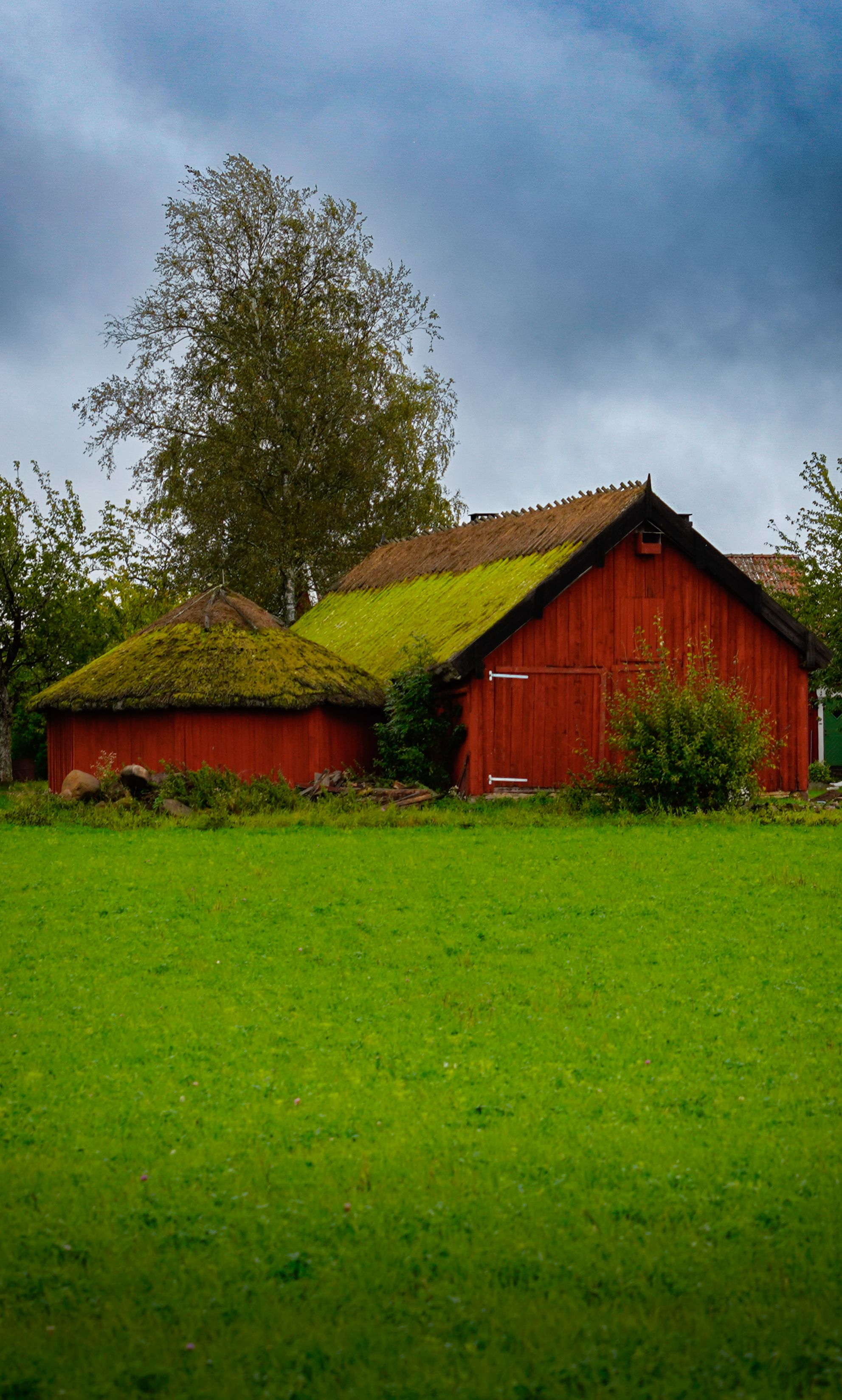 Rustic Red Barn with Moss Roof in Countryside · Free Stock Photo