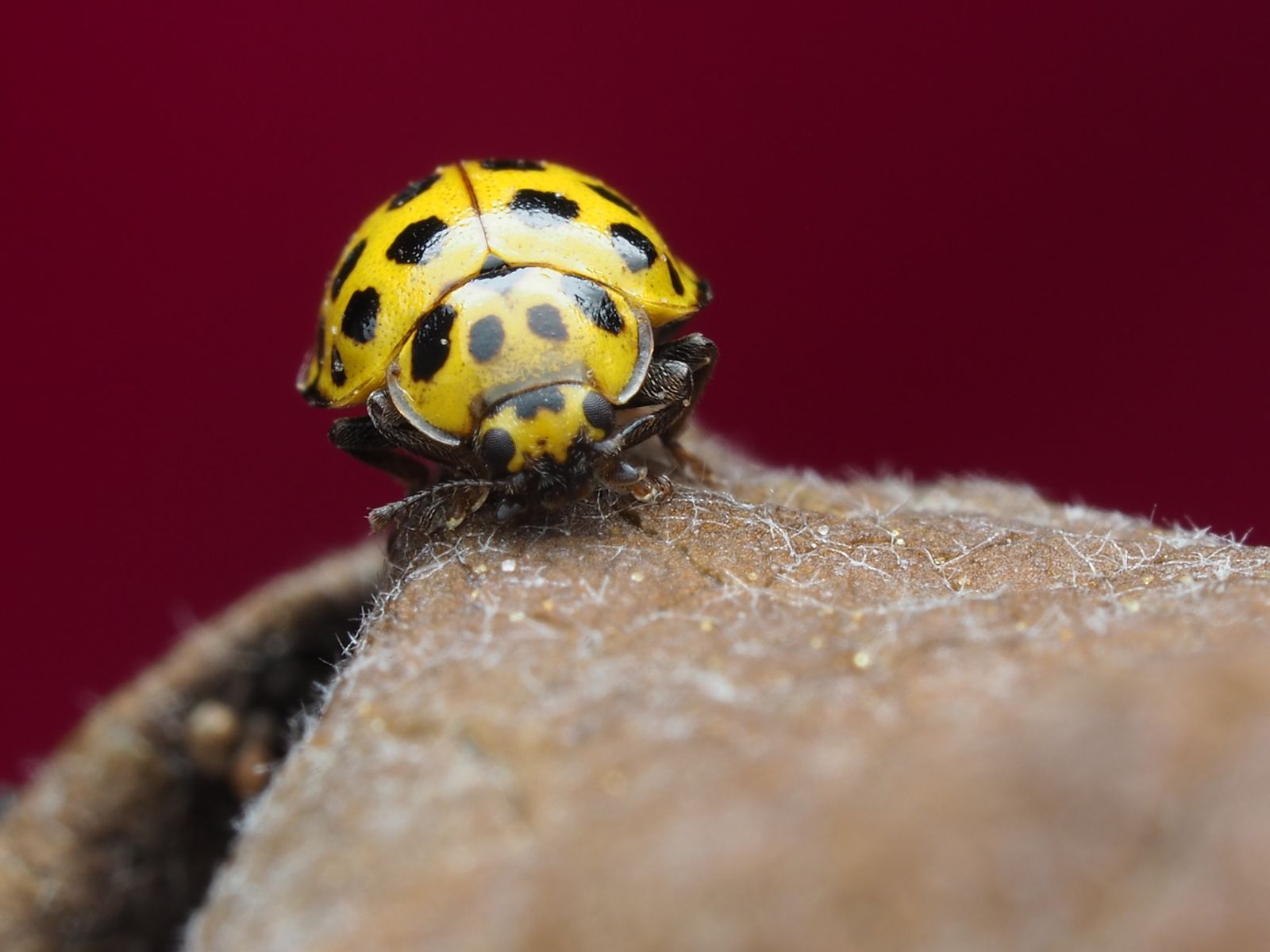 Small Size Photos, Download The BEST Free Small Size Stock Photos & HD ...