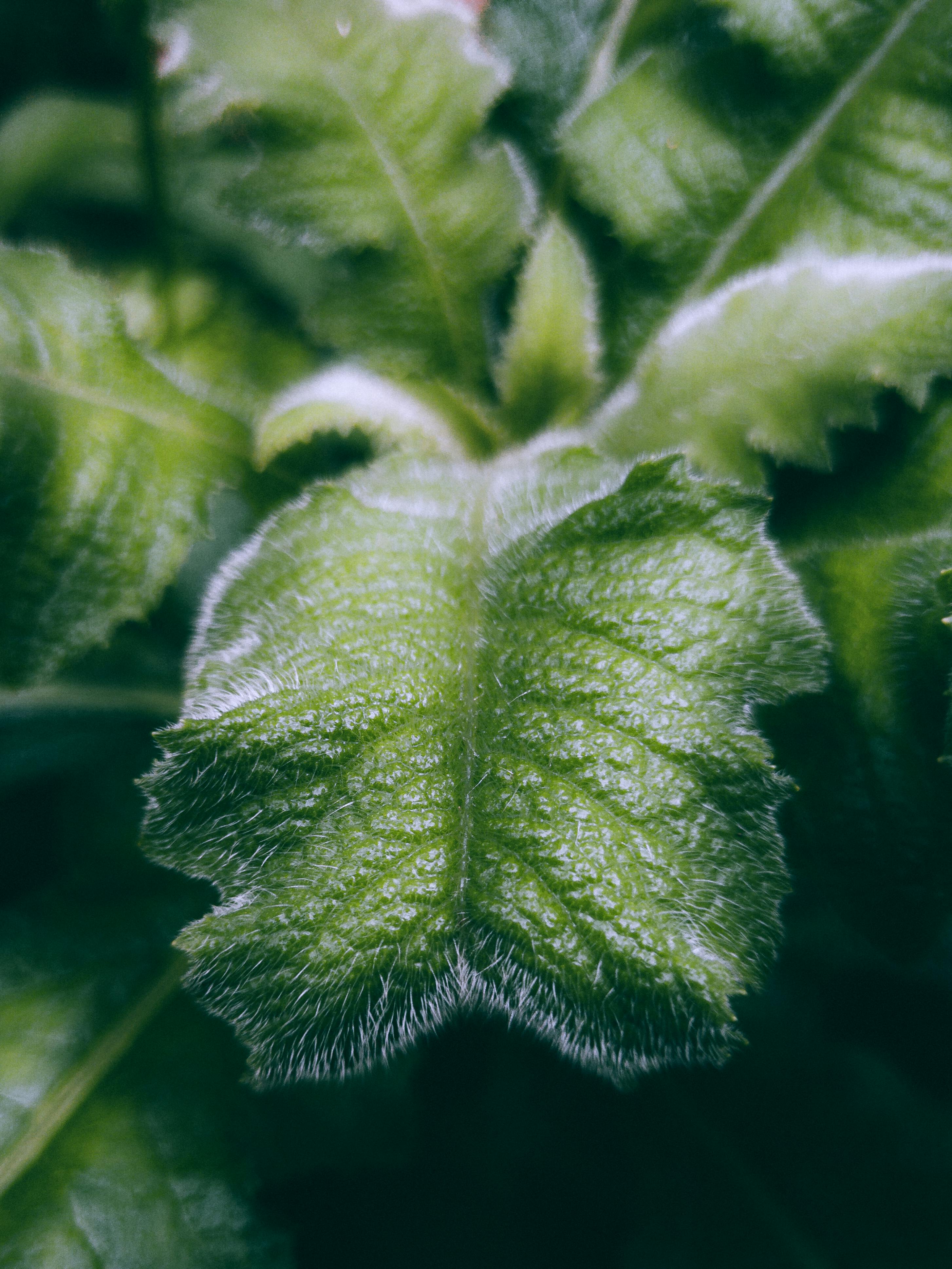 70.000+ Jo+and+judy+wallpaper Bilder und Fotos · Kostenlos Downloaden · Pexels Stock-Fotos