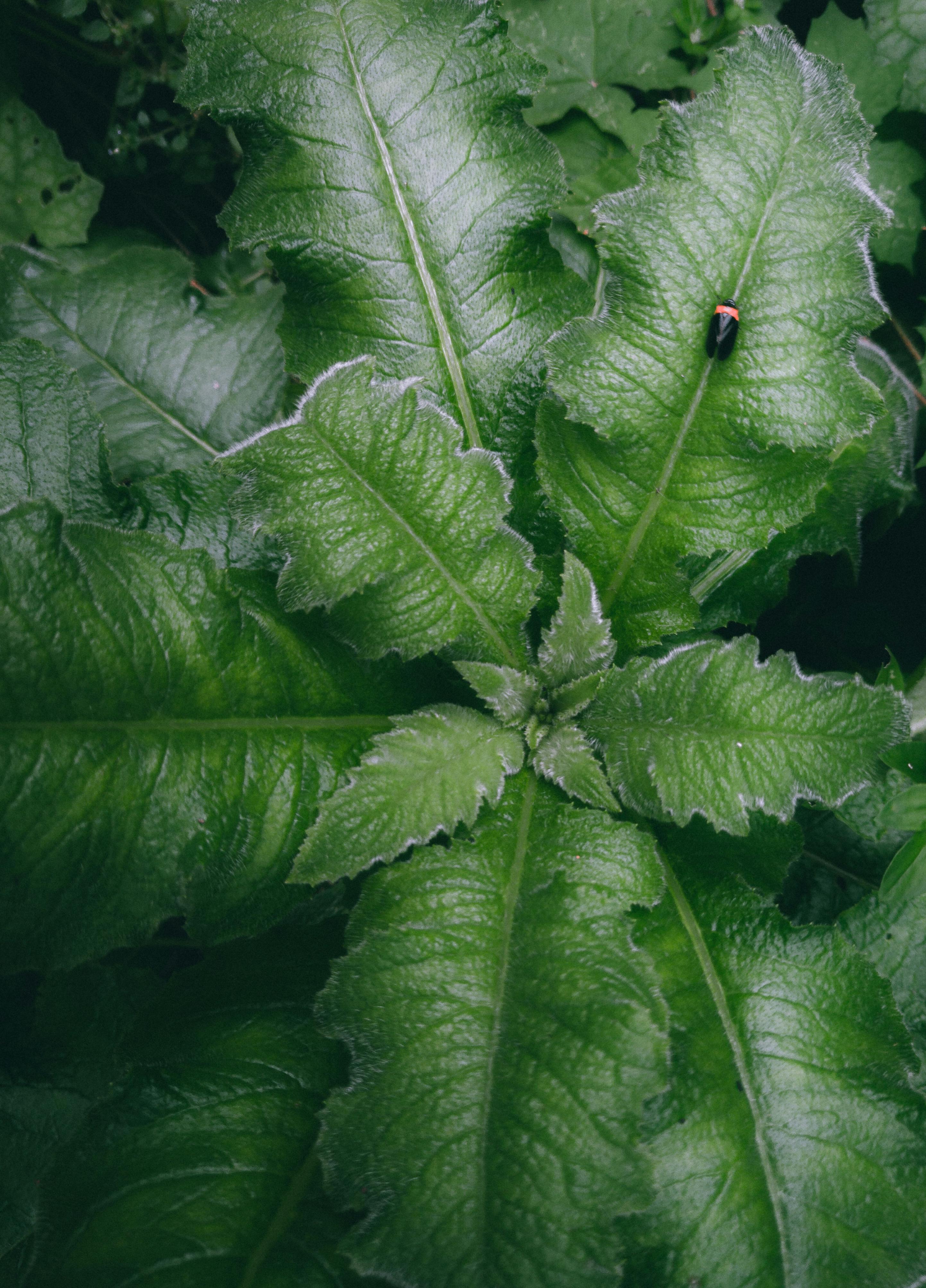 Dream+Gamer Alee+Wallpaper Photos, Download The BEST Free Dream+Gamer ...