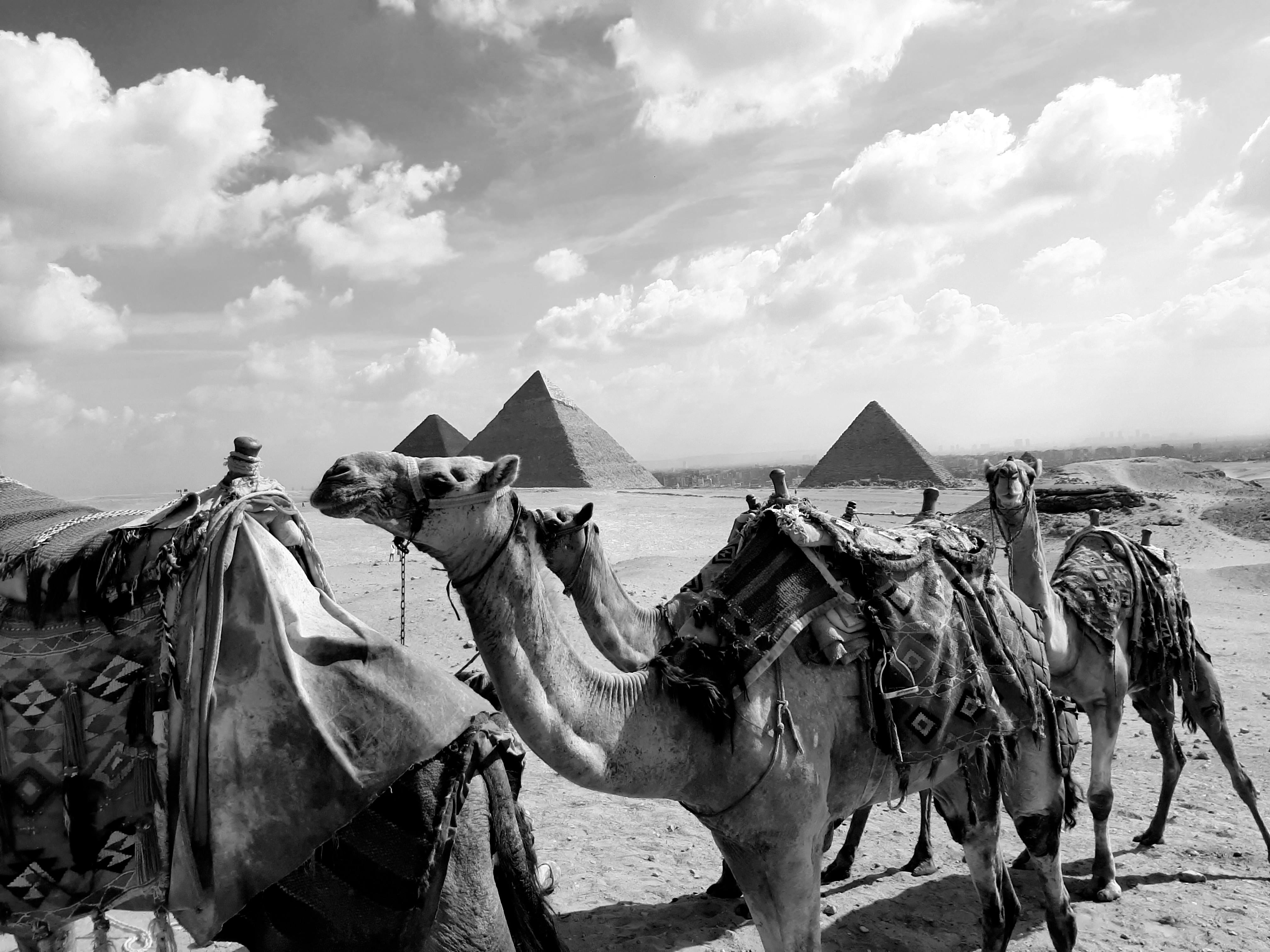 Photo Of Desert Photos, Download The BEST Free Photo Of Desert Stock ...