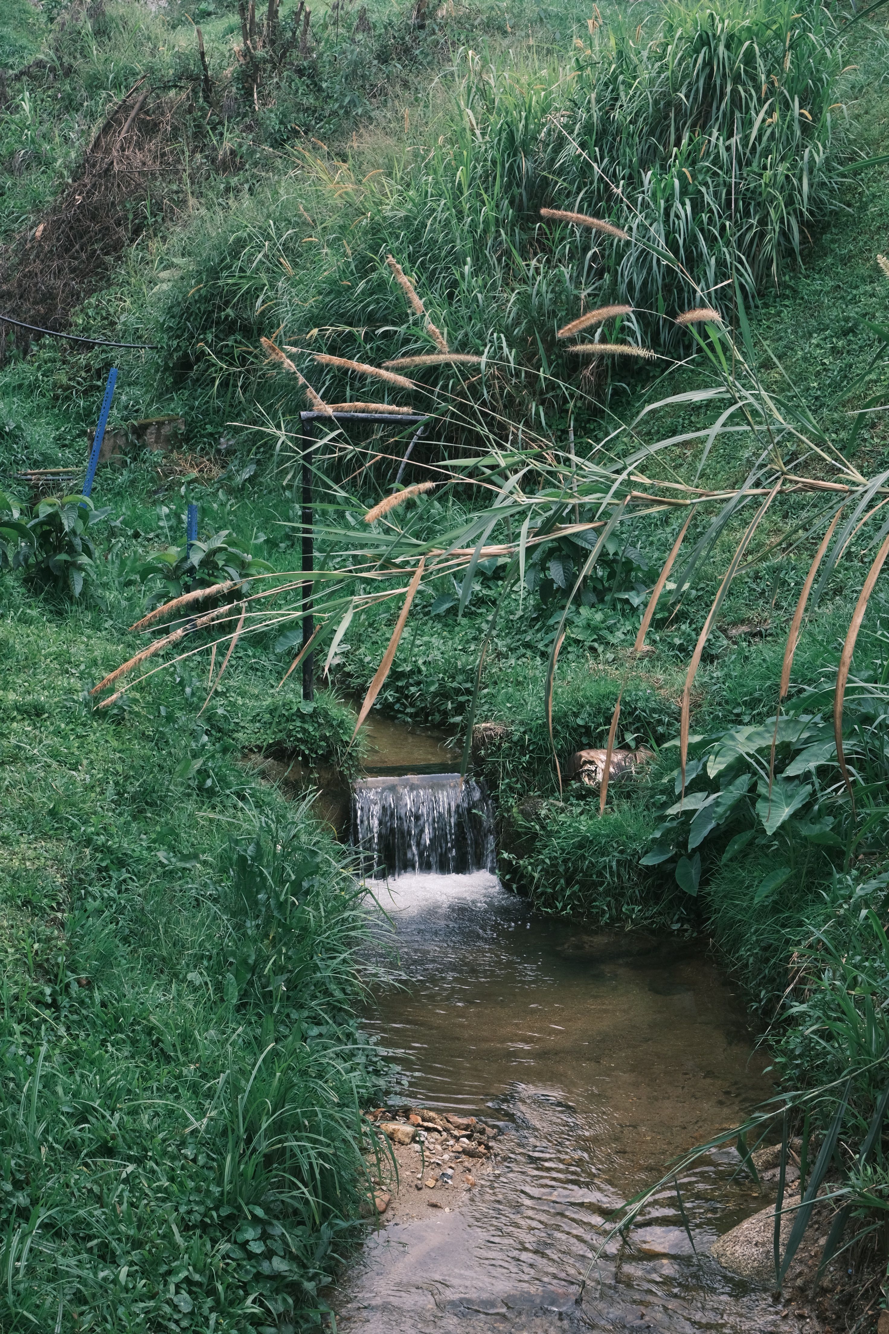 Groundwater India Photos, Download The BEST Free Groundwater India ...