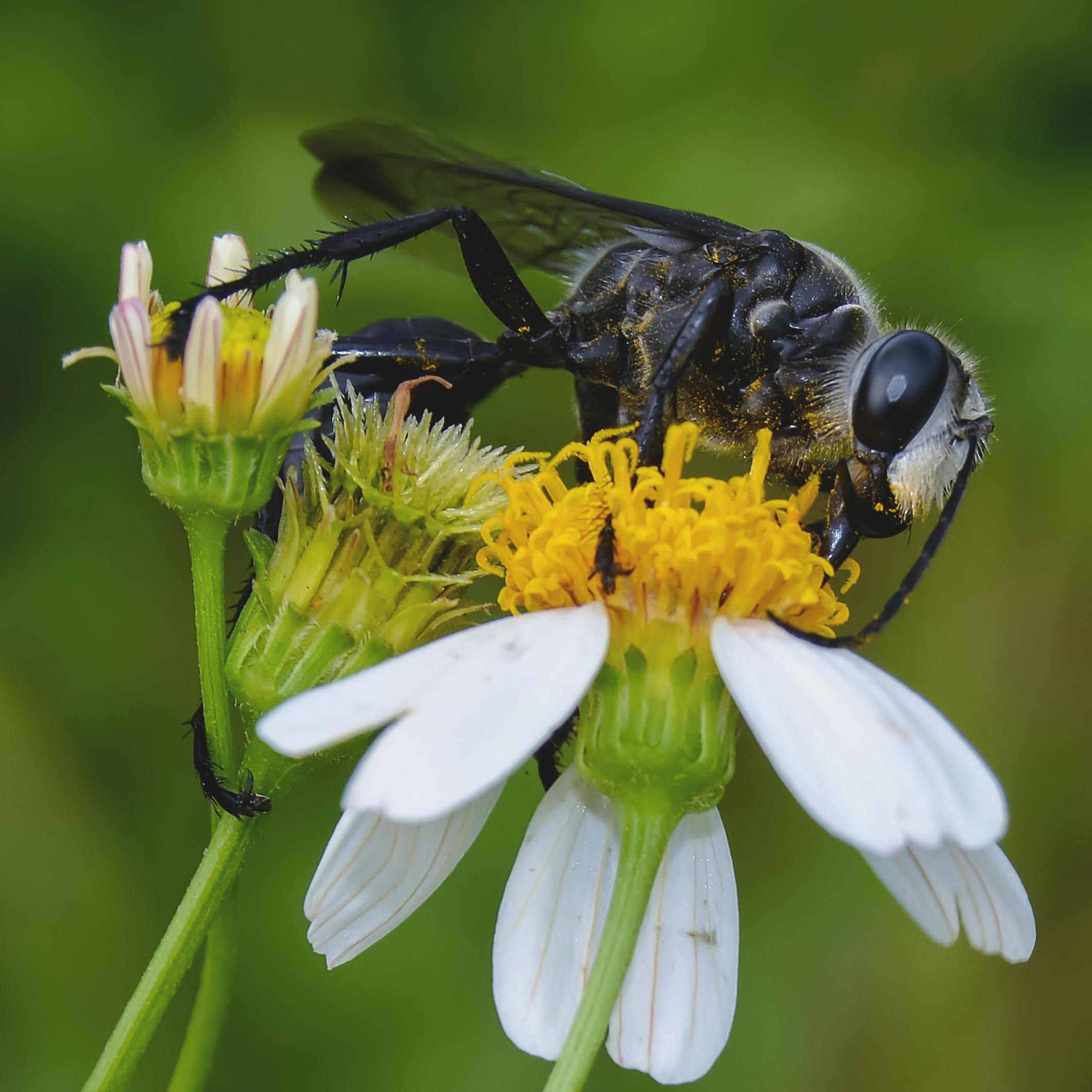 Favicon Photos, Download The BEST Free Favicon Stock Photos & HD Images