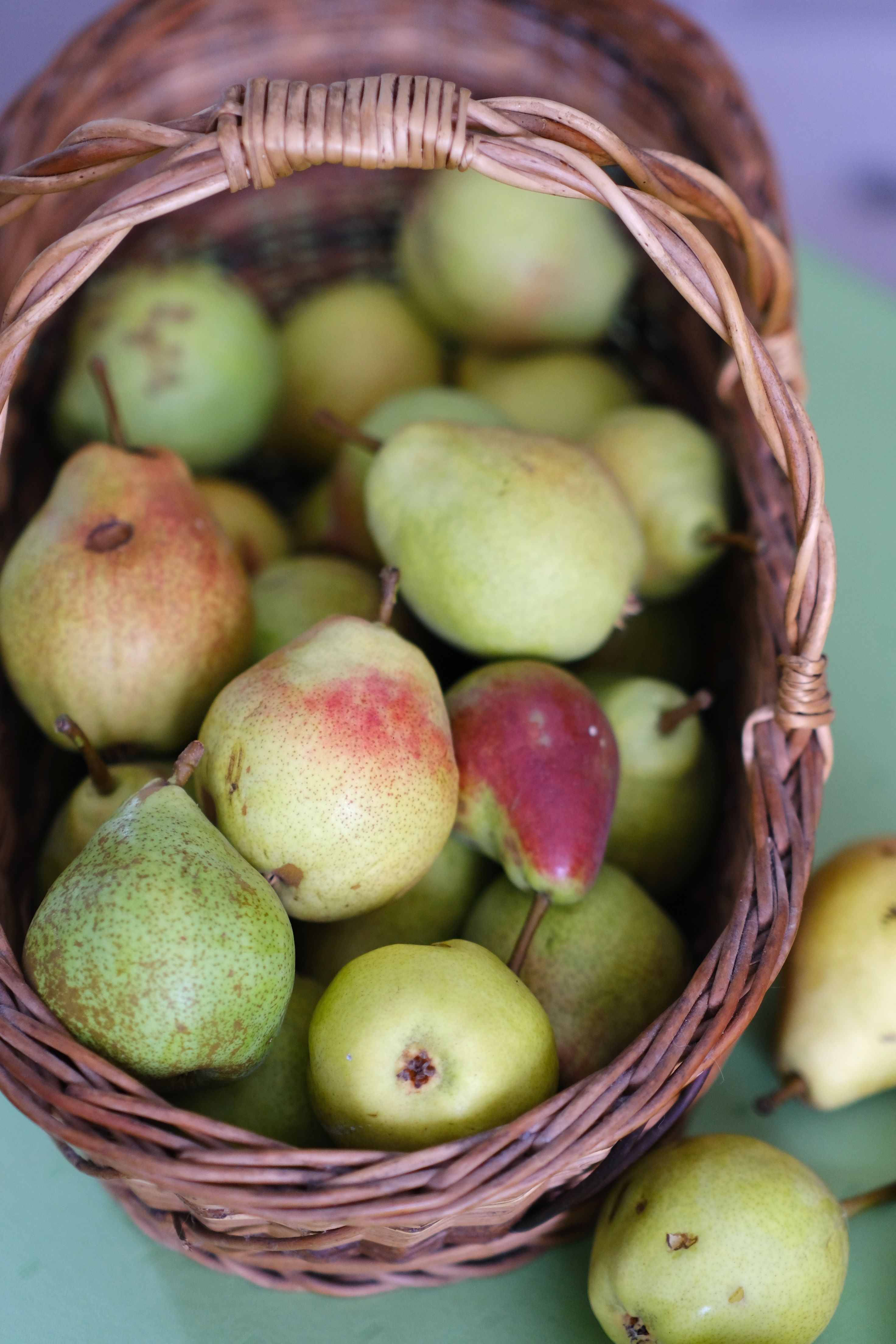 Fresh Pile of Pears in Rustic Basket · Free Stock Photo