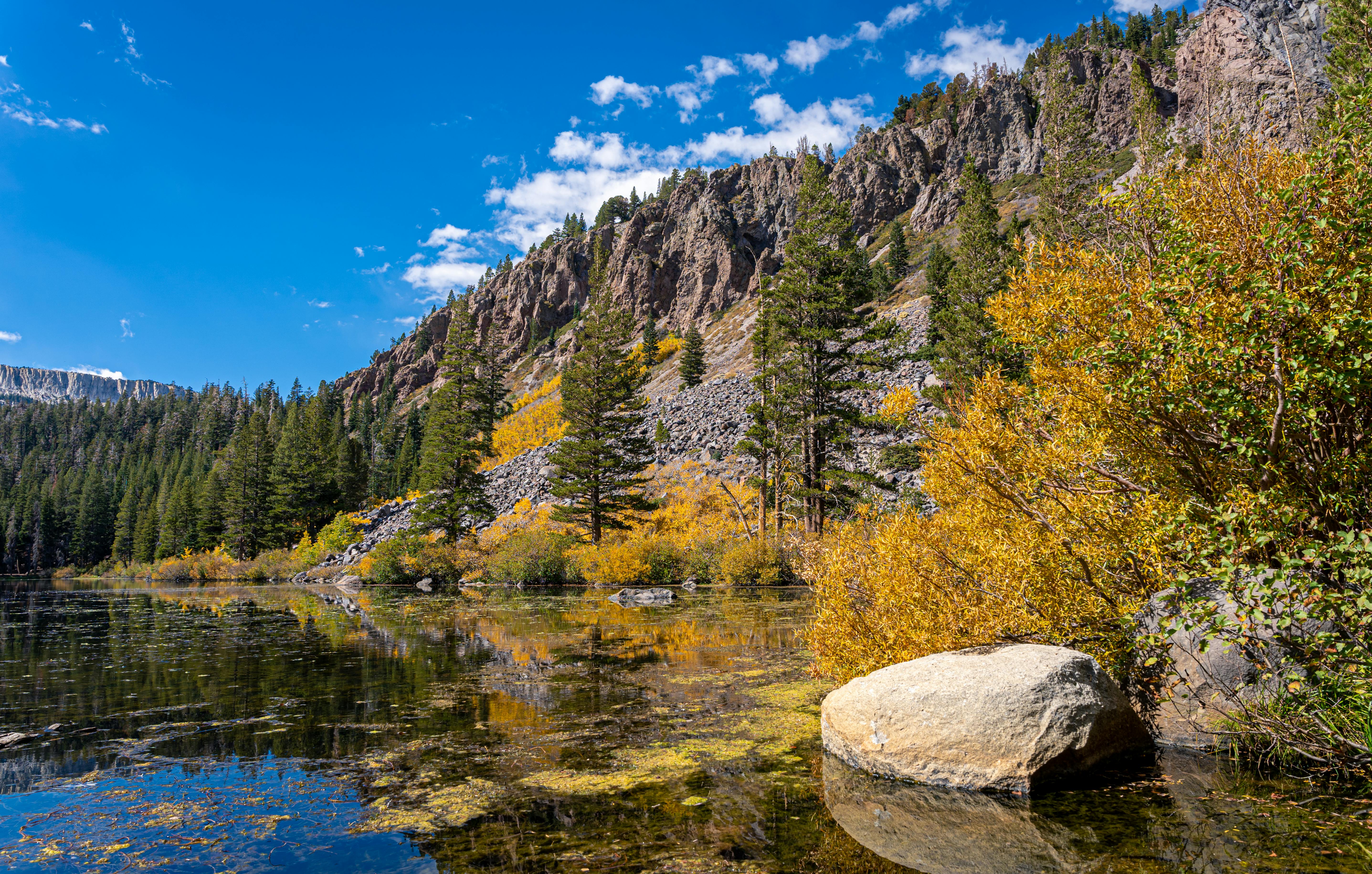 Stunning Fall Landscape at Mammoth Lakes, California · Free Stock Photo