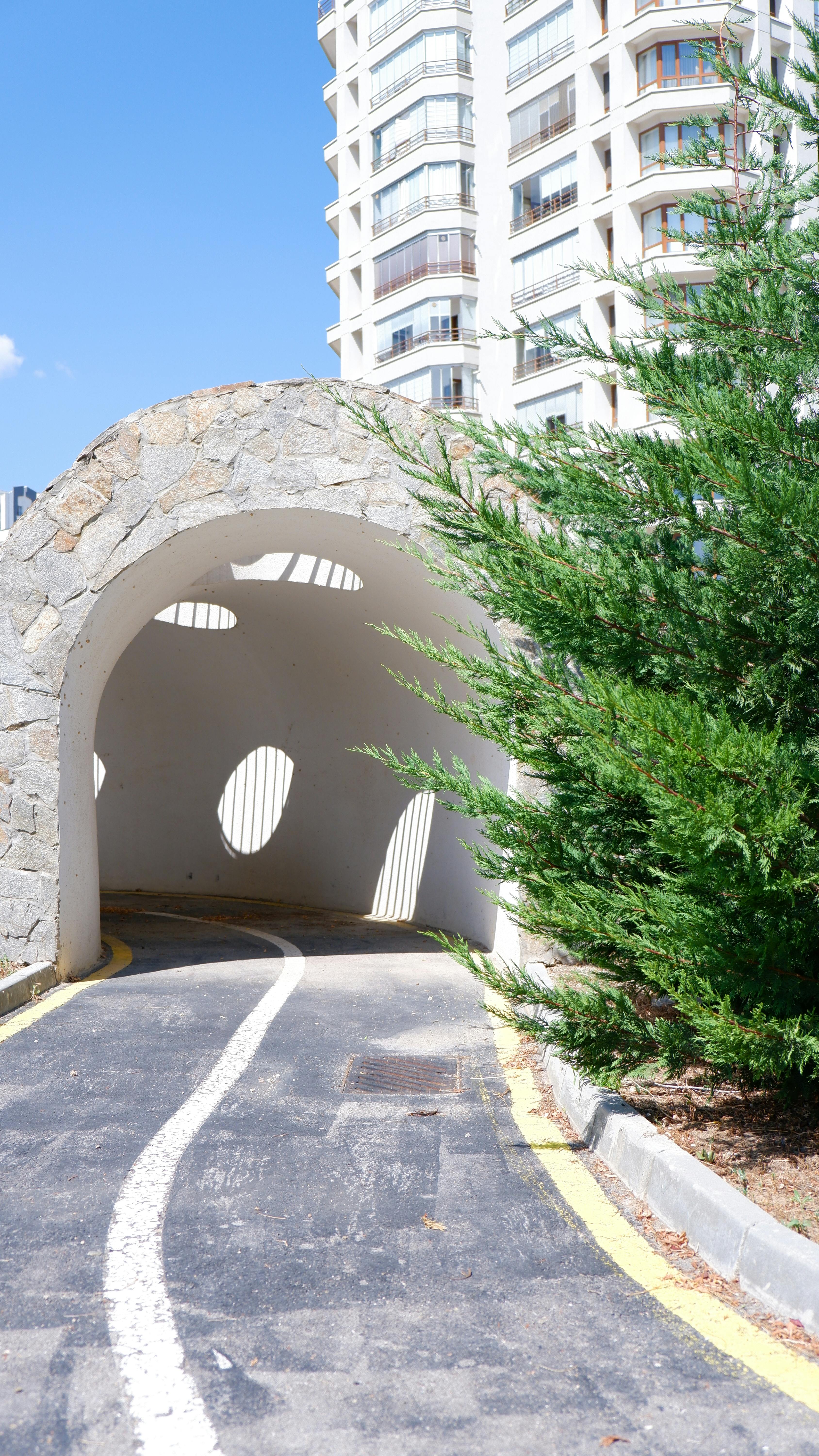 Pin+On+Curves Photos, Download The BEST Free Pin+On+Curves Stock Photos ...