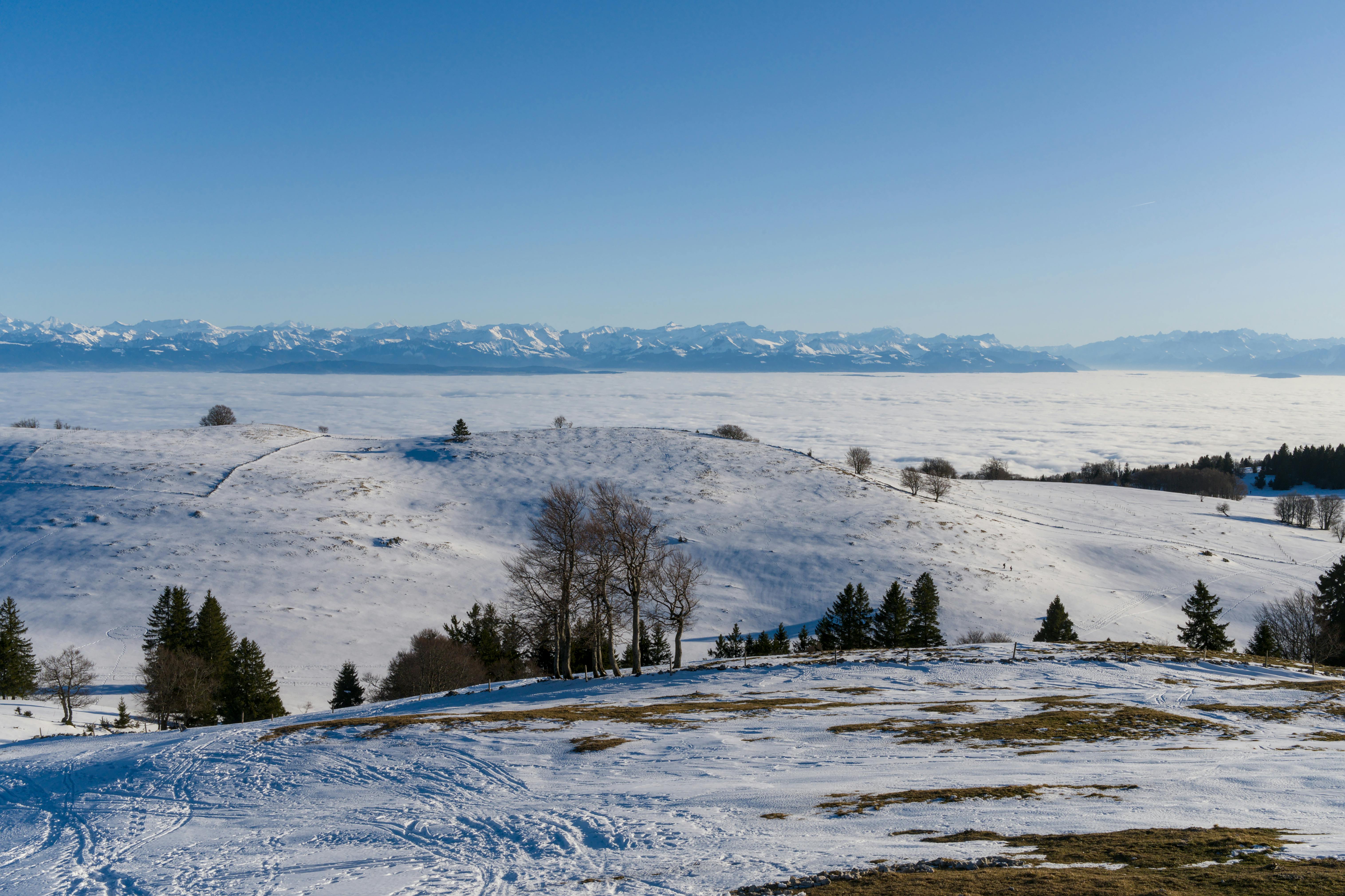 Snowy Sky Photos, Download The BEST Free Snowy Sky Stock Photos & HD Images