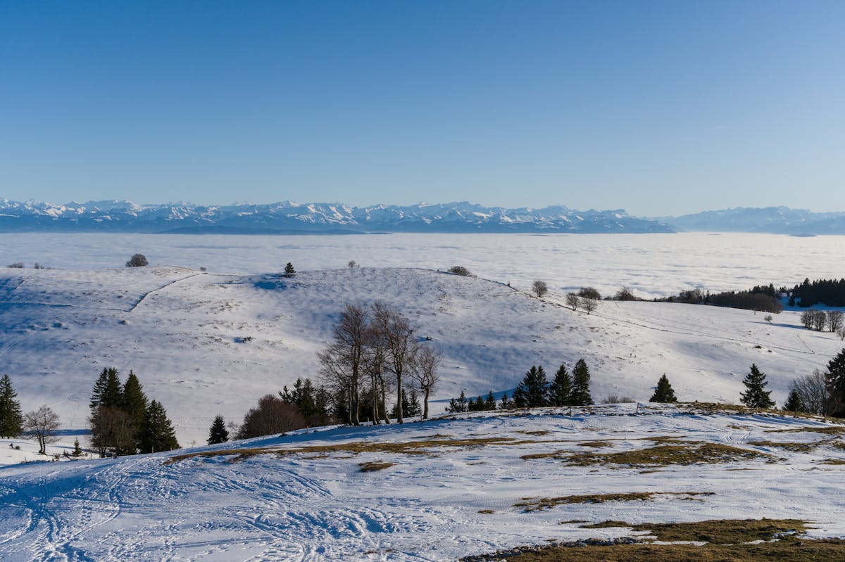 Snowy Sky Photos, Download The BEST Free Snowy Sky Stock Photos & HD Images