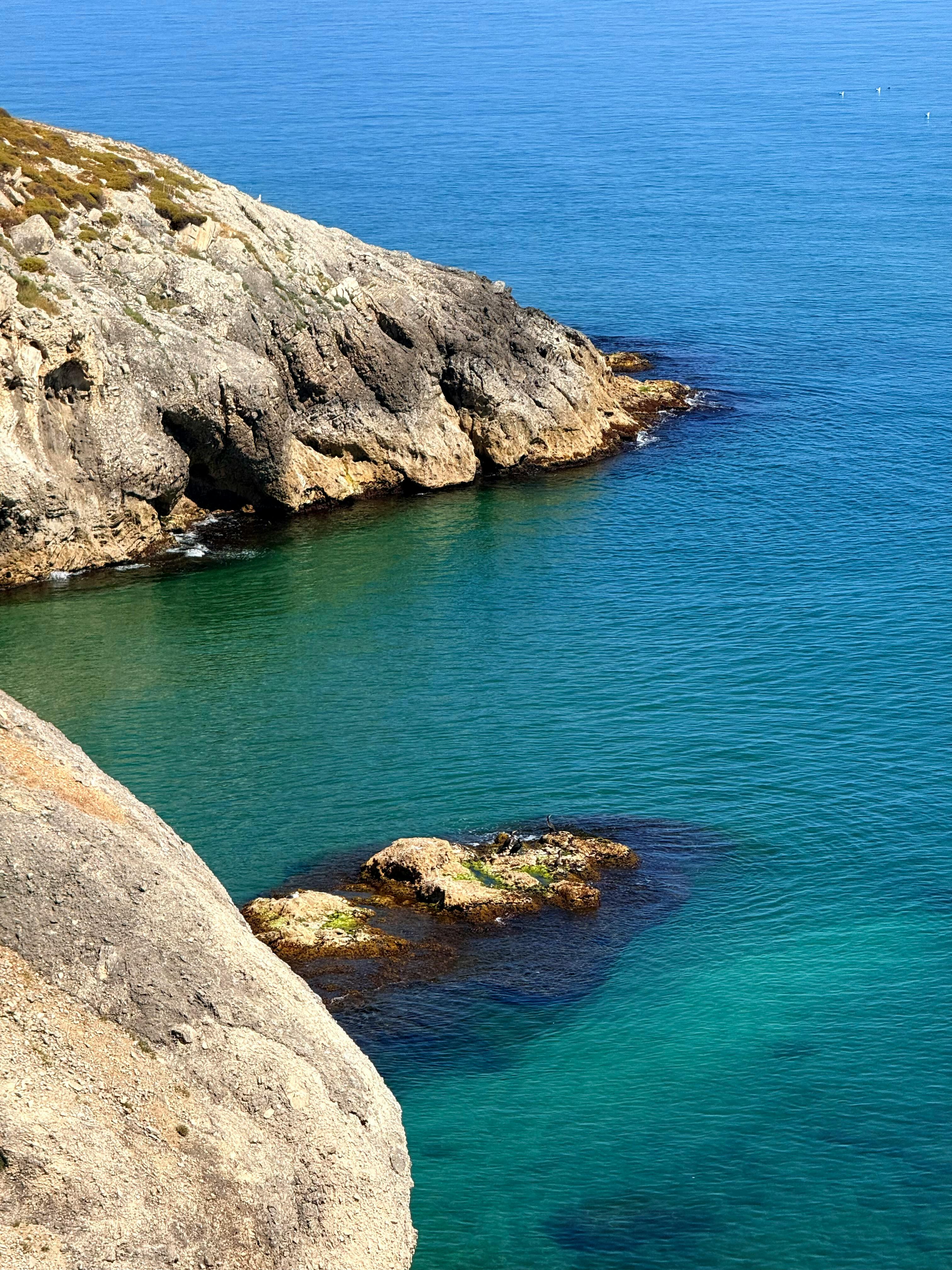 Everyone+Pointing+At+Wallpaper+Meme Photos, Download The BEST Free ...