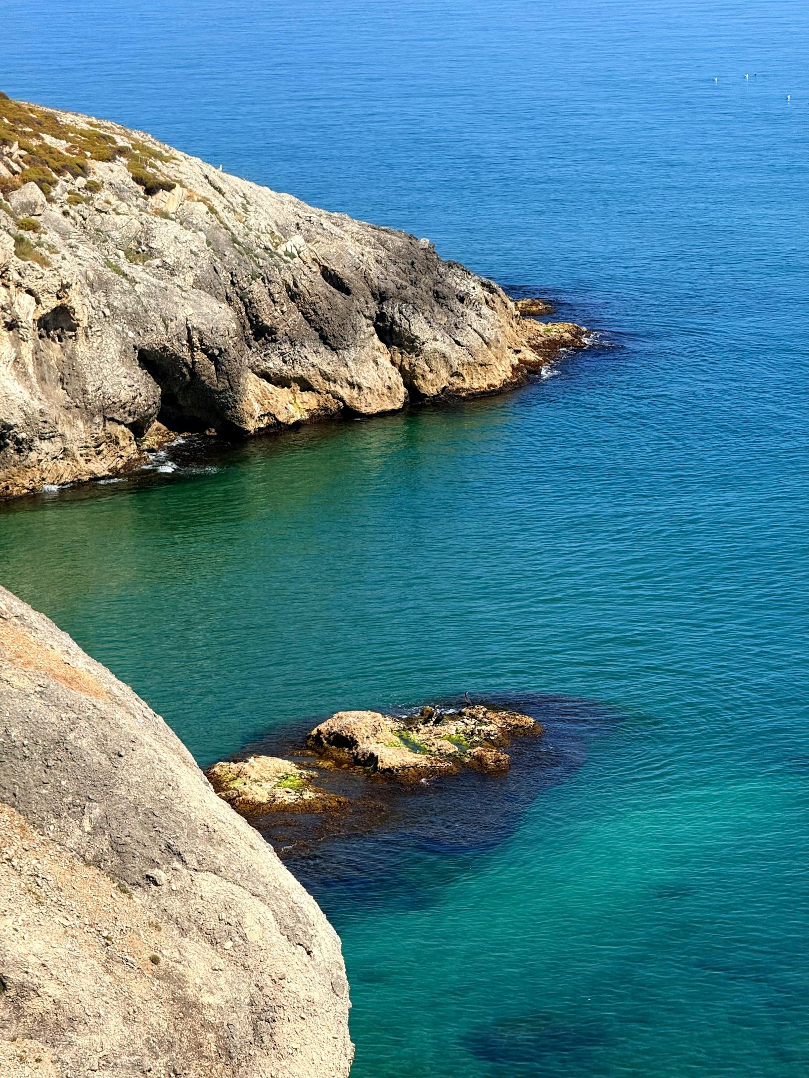 Wild Turkey Photos, Download The BEST Free Wild Turkey Stock Photos ...