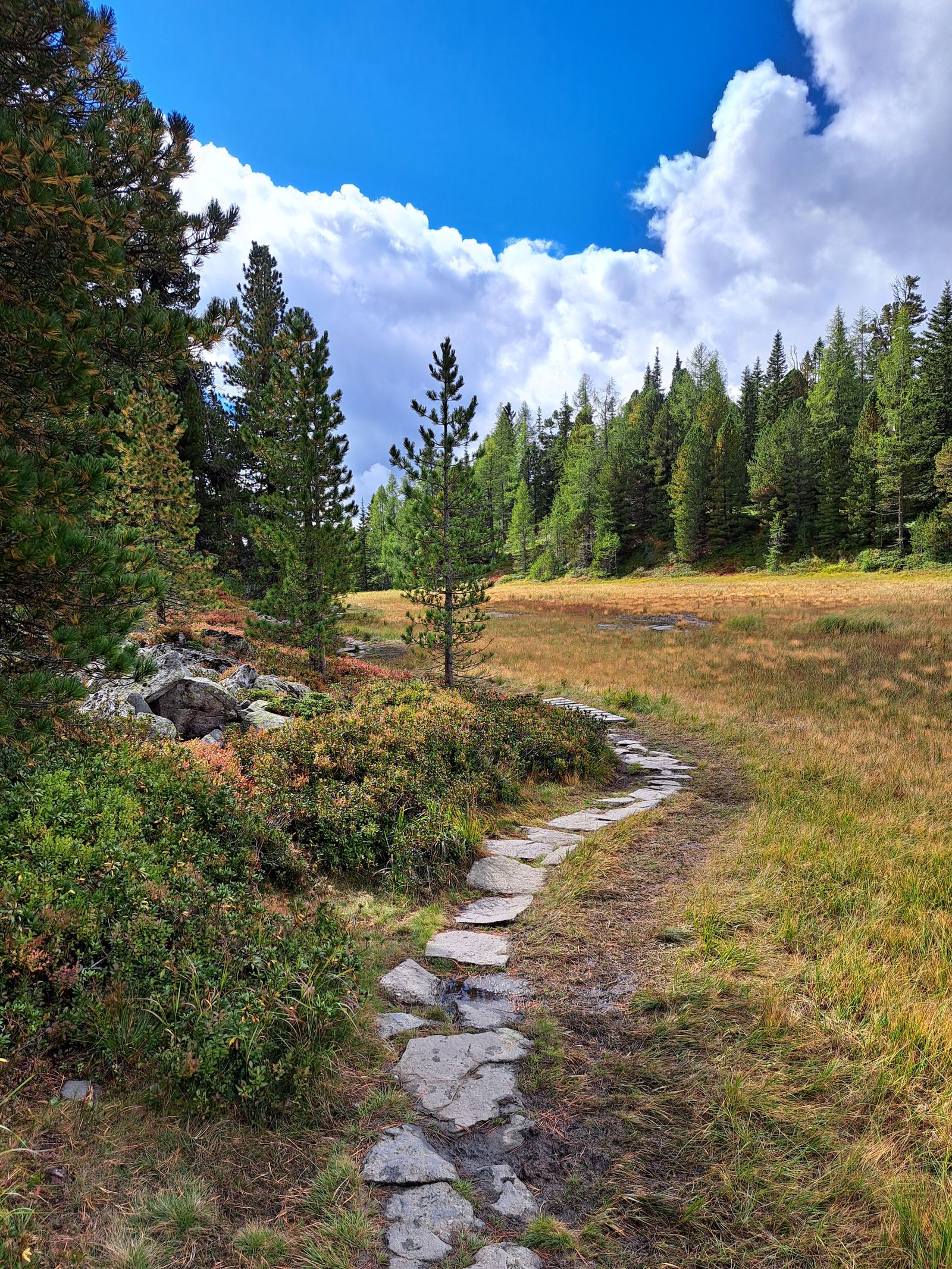 Natural Landscape Photos, Download The BEST Free Natural Landscape ...