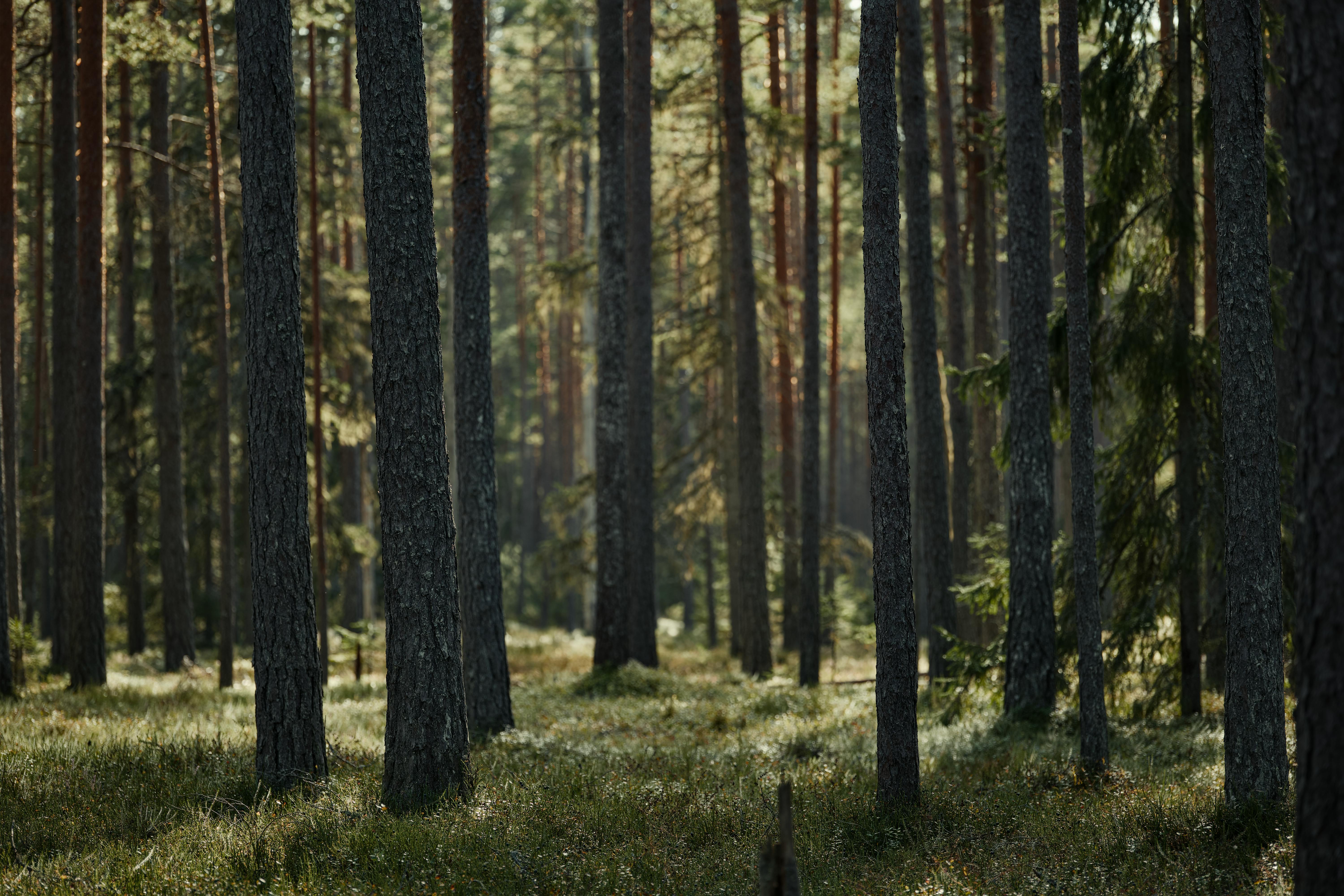 Danielle+Moss+Wallpaper Photos, Download The BEST Free Danielle+Moss ...