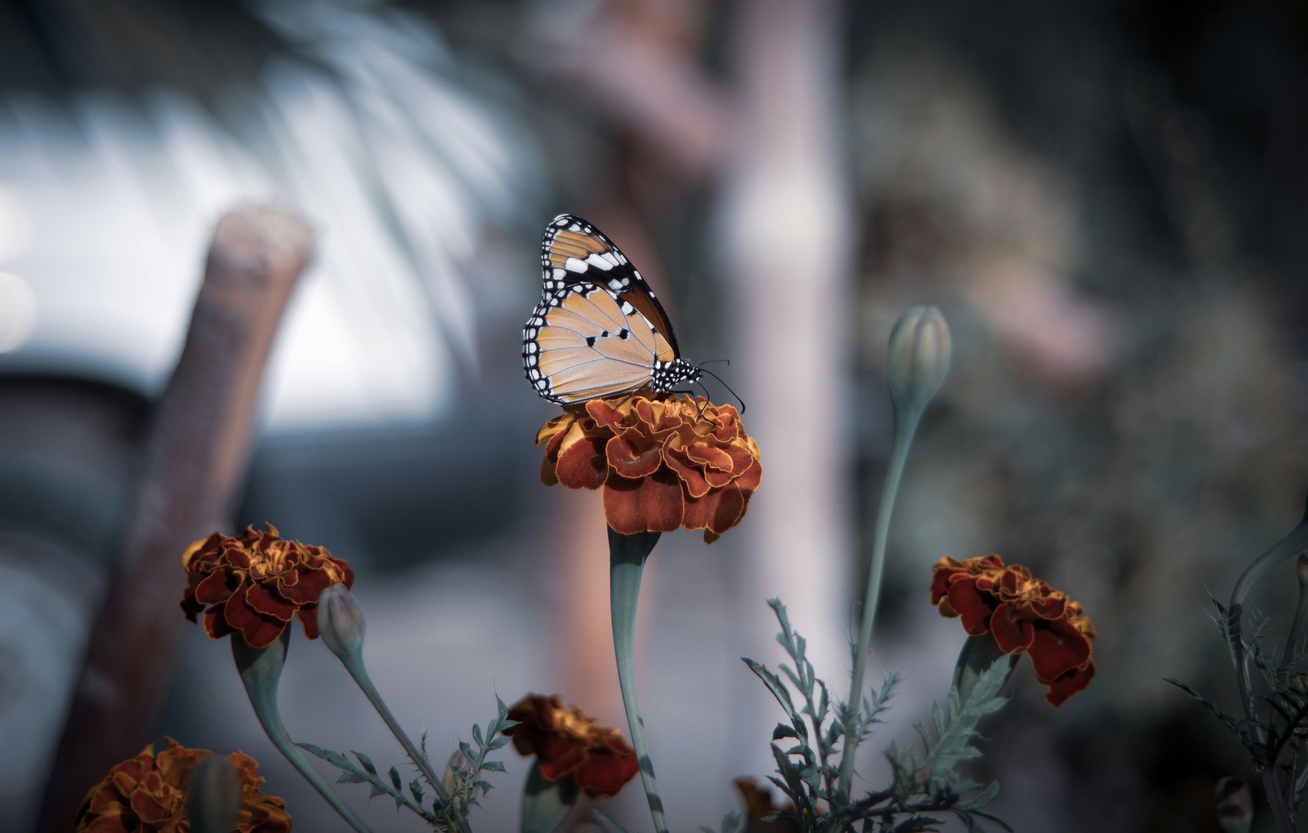 300 000+ Fond D’écran 4k banque d’images et photos libres de droit · Téléchargement gratuit ...